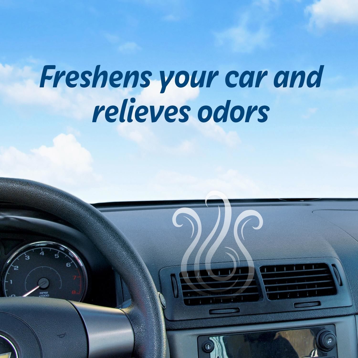 Refresh Your Car Mini Diffuser Floral Scent Air Freshener Vent 2 Piece