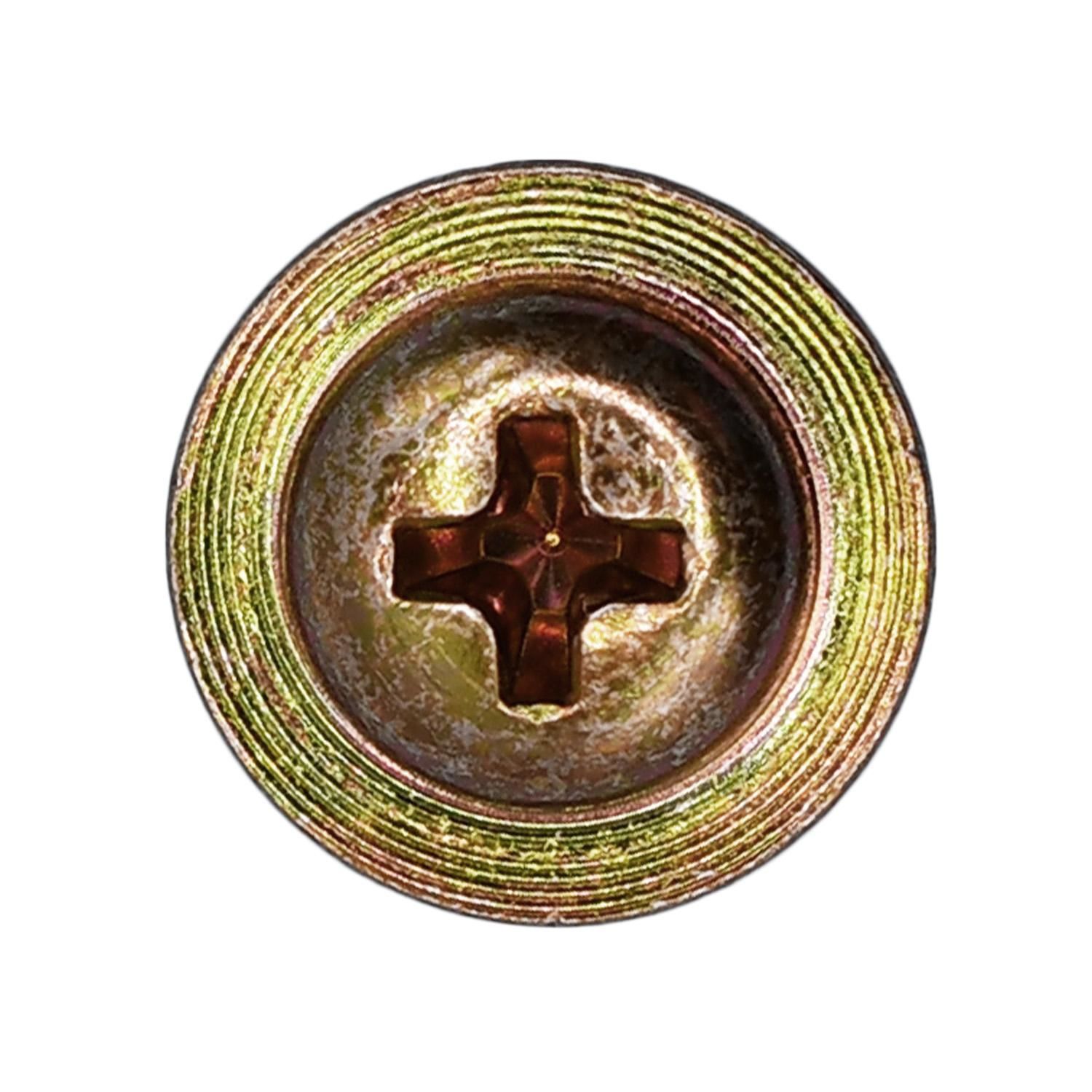 Auveco License Plate Mounting Hardware 18779