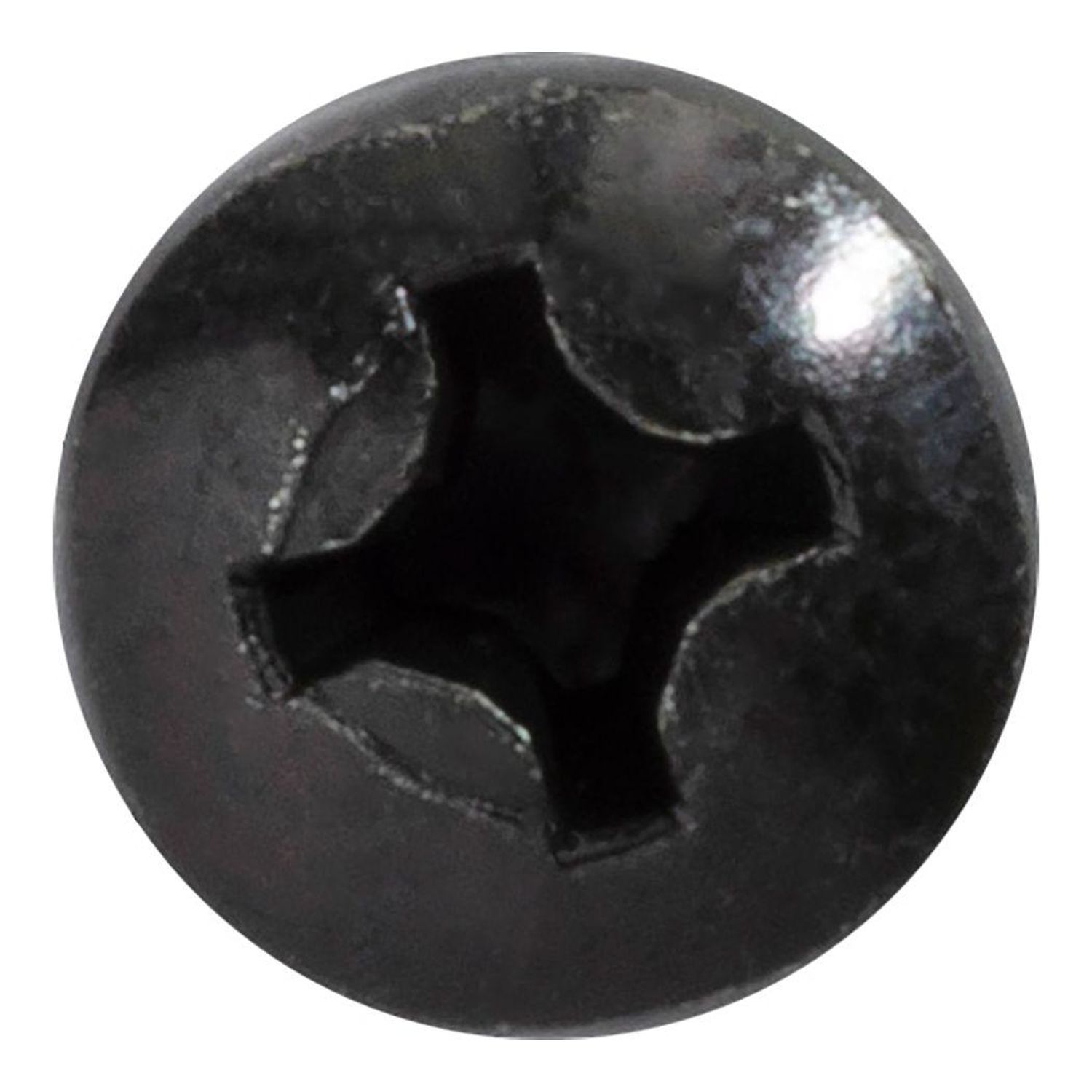 Auveco License Plate Mounting Hardware 24163