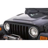 Auto Ventshade (AVS) Aeroskin Smoke Bug Deflector 322091