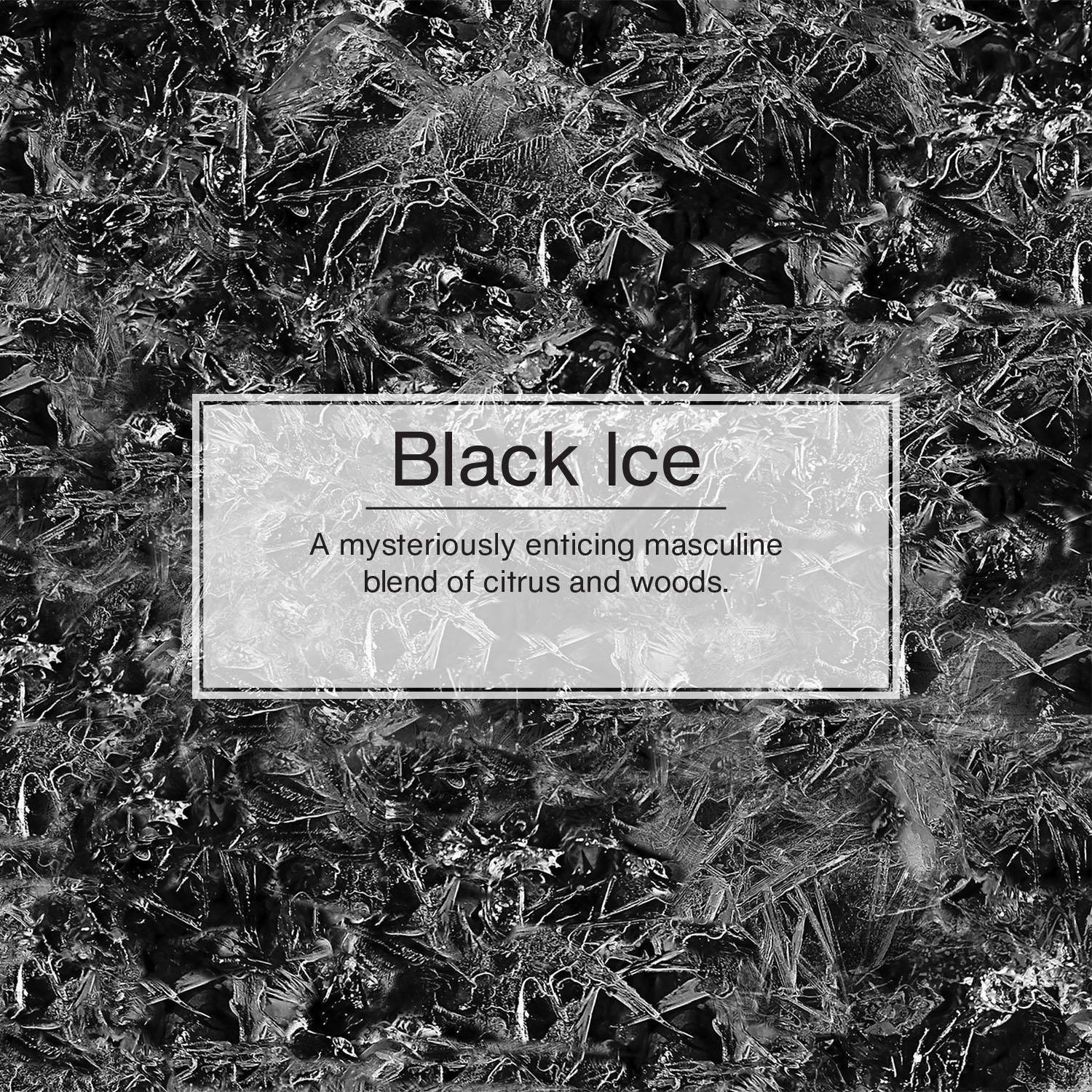 Little Trees Black Ice Xtra Strength Scent Hanging Air Freshener 2 Pack