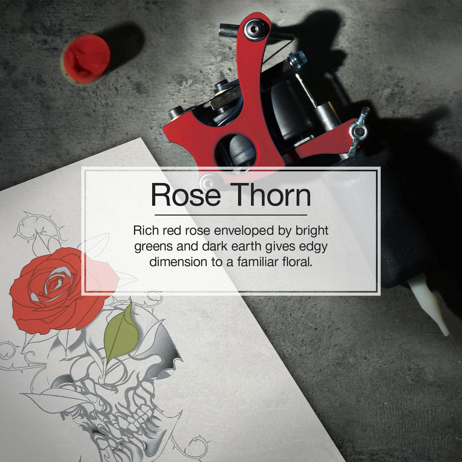 Little Trees Rose Thorn Scent Hanging Air Freshener 6 Pack