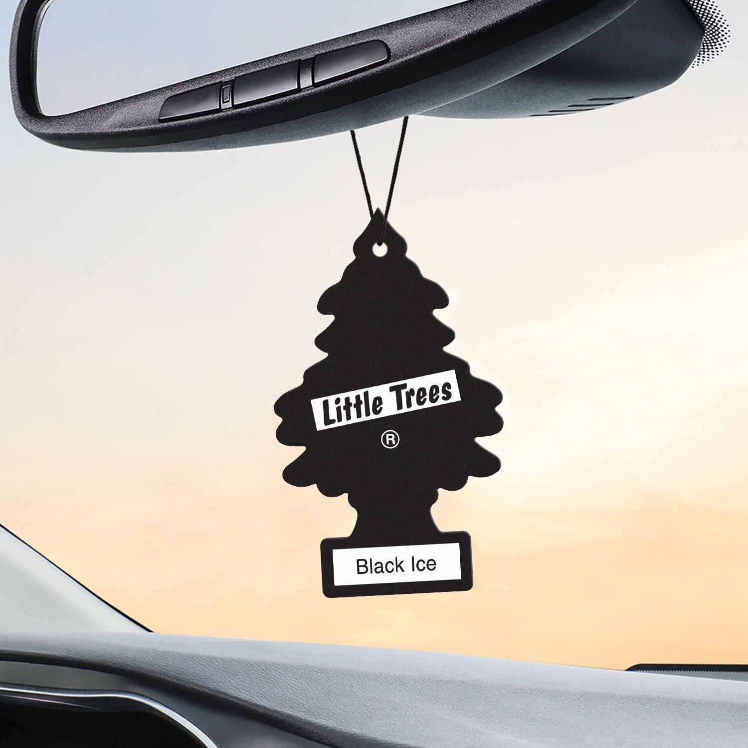 Little Trees Black Ice Scent Hanging Air Freshener 6 Pack