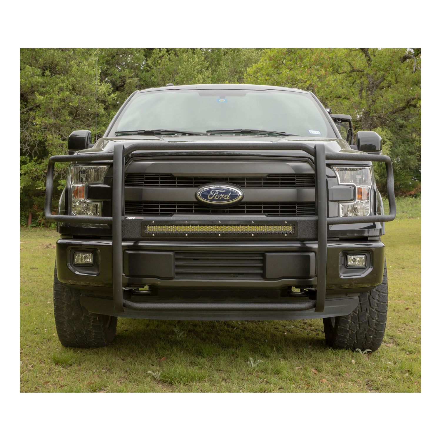 Aries Grille/Brush Guard 2170012