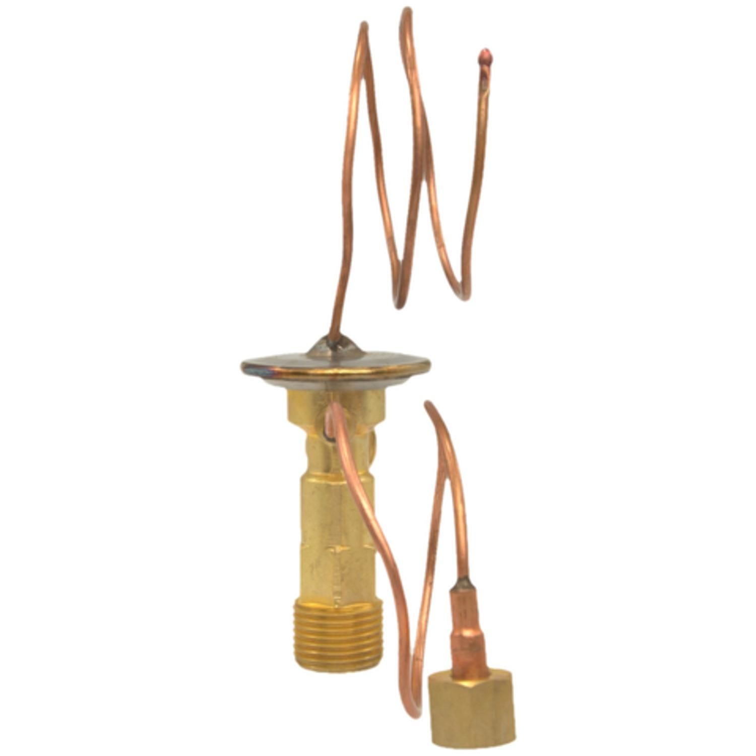 Compressor Works A/C Expansion Valve 38844