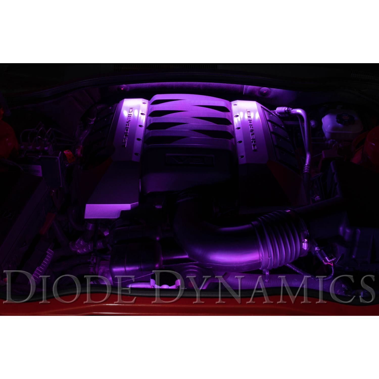 Diode Dynamics RGBW Multicolor Engine Bay LED Kit