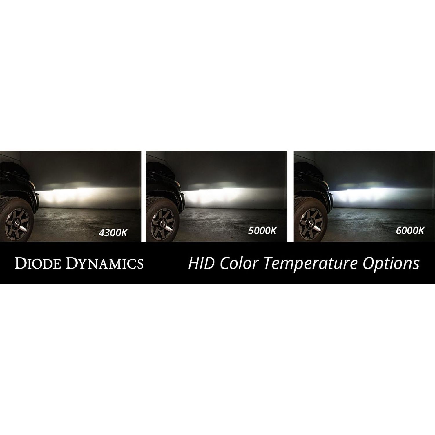 Diode Dynamics LED Bulbs