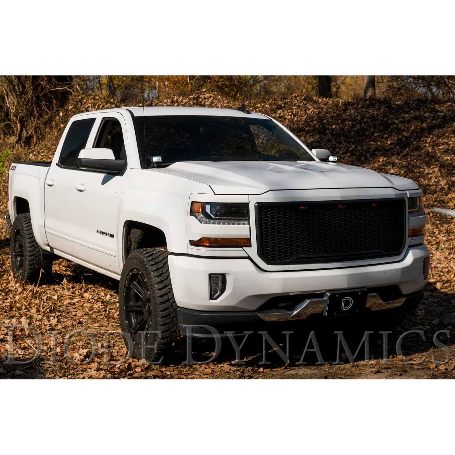 Diode Dynamics Off-Road Light DD6656