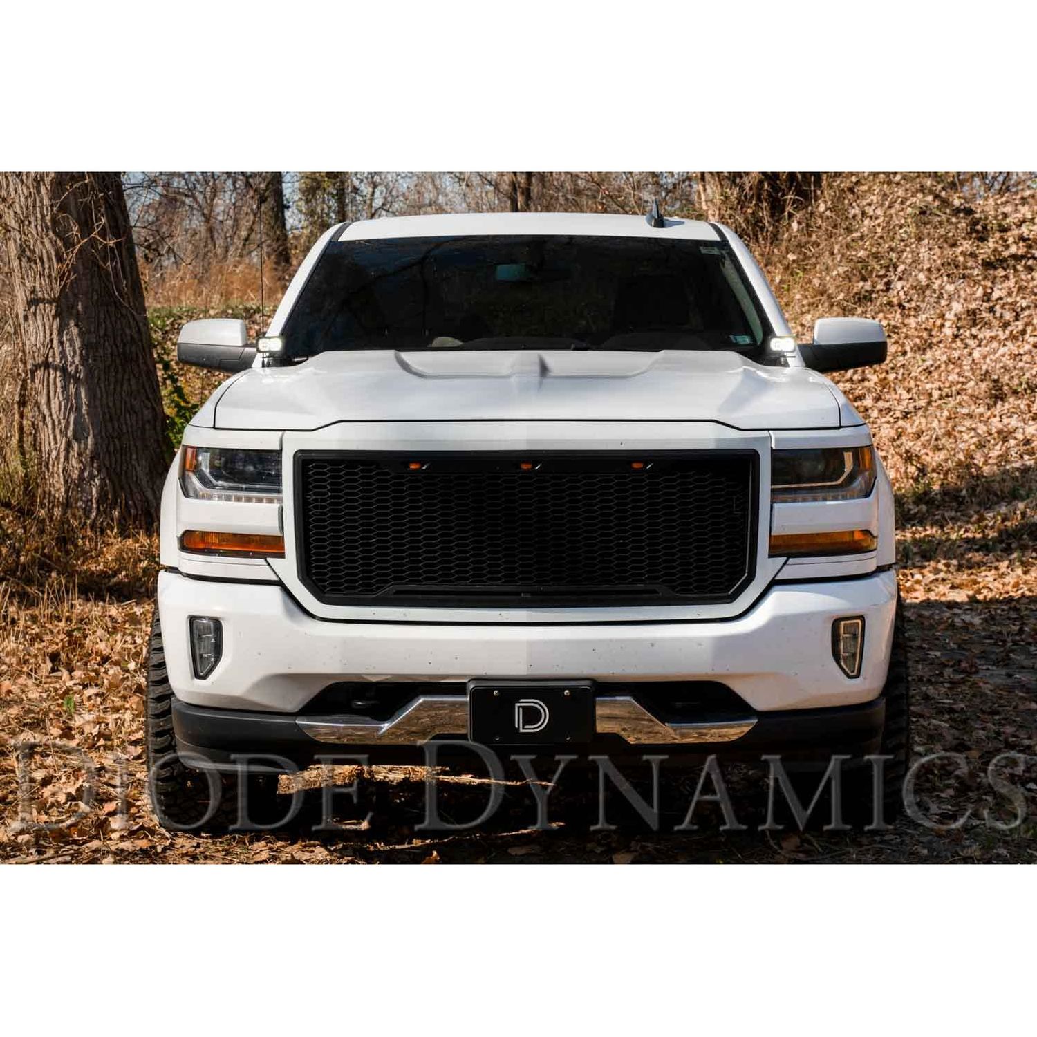 Diode Dynamics Off-Road Light DD6661