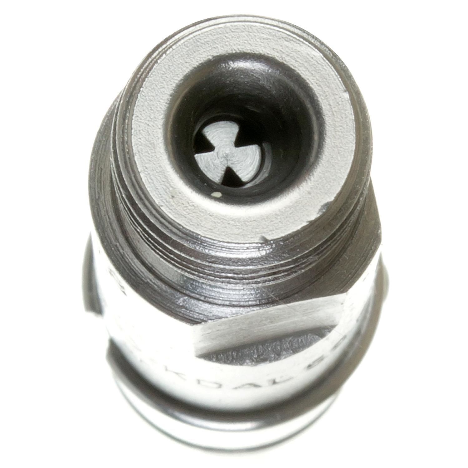 Delphi Fuel Injector EX631060