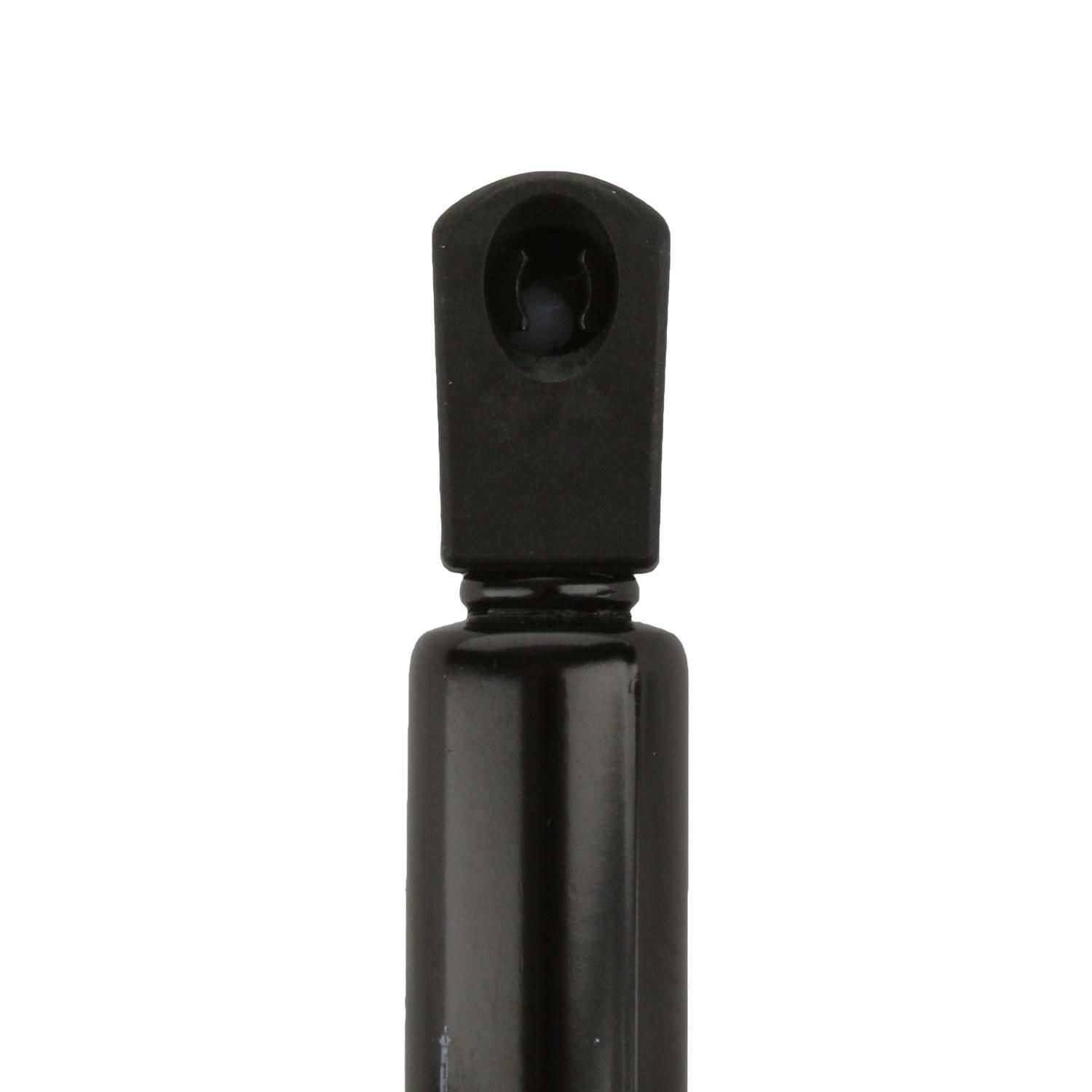Duralast Trunk Lid Lift Support DL10047A