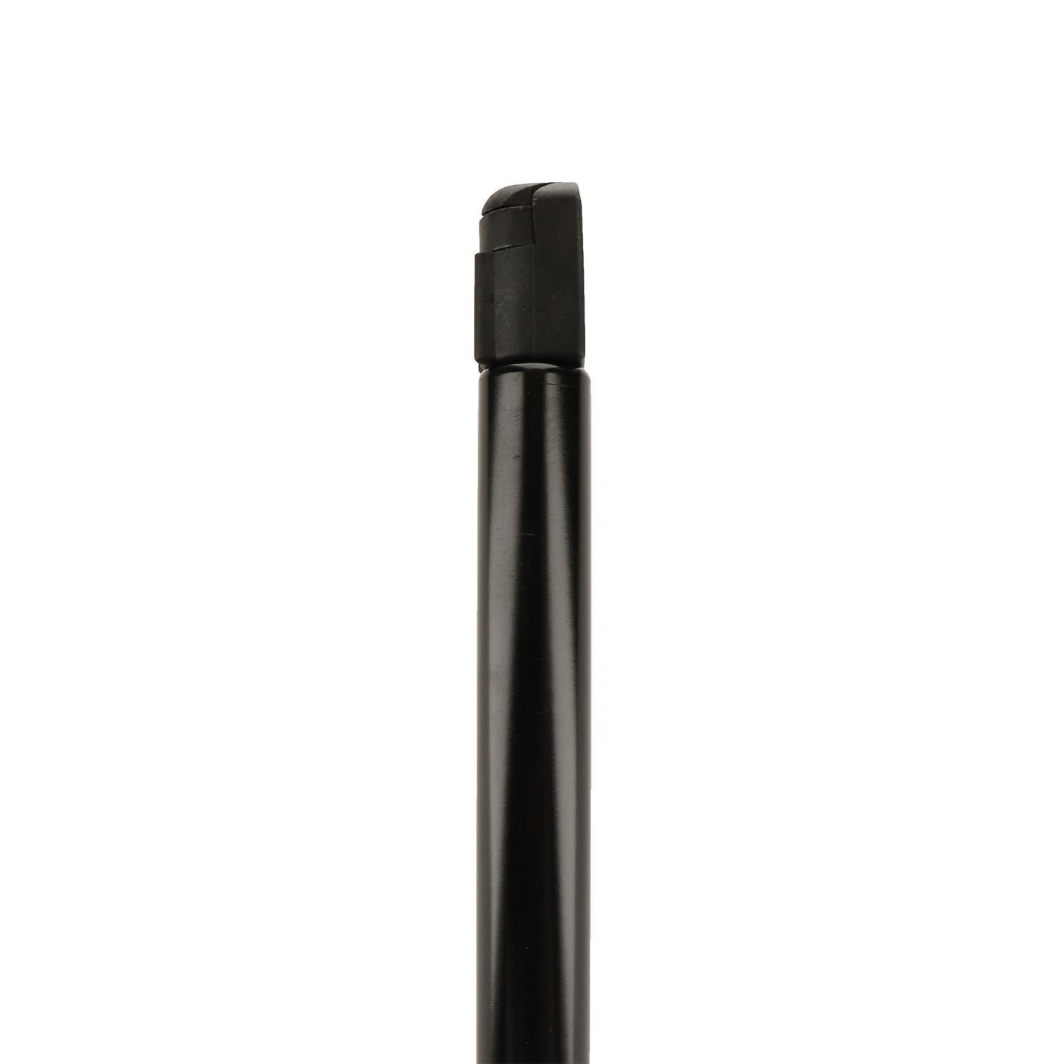 Duralast Trunk Lid Lift Support DL10048A