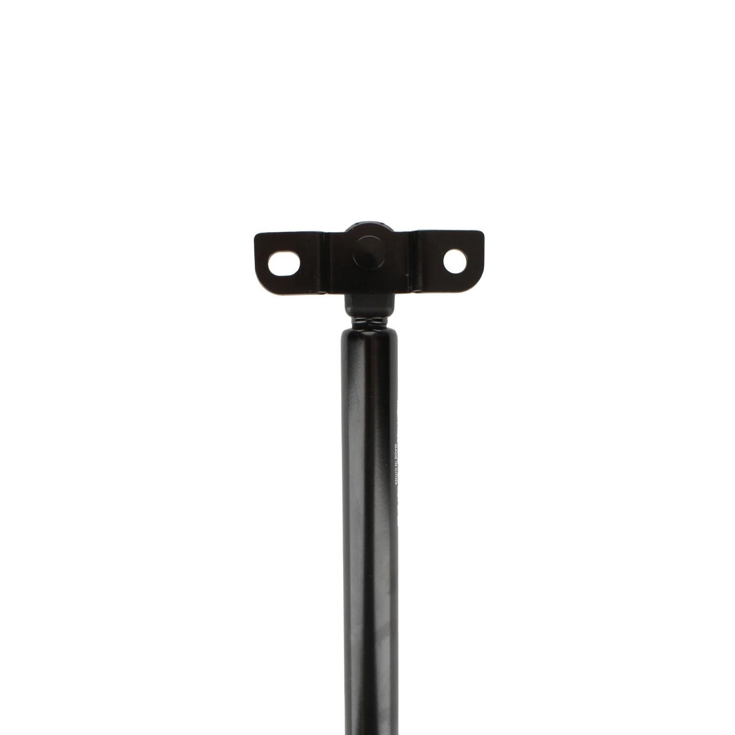 Duralast Liftgate Lift Support DL10315EW