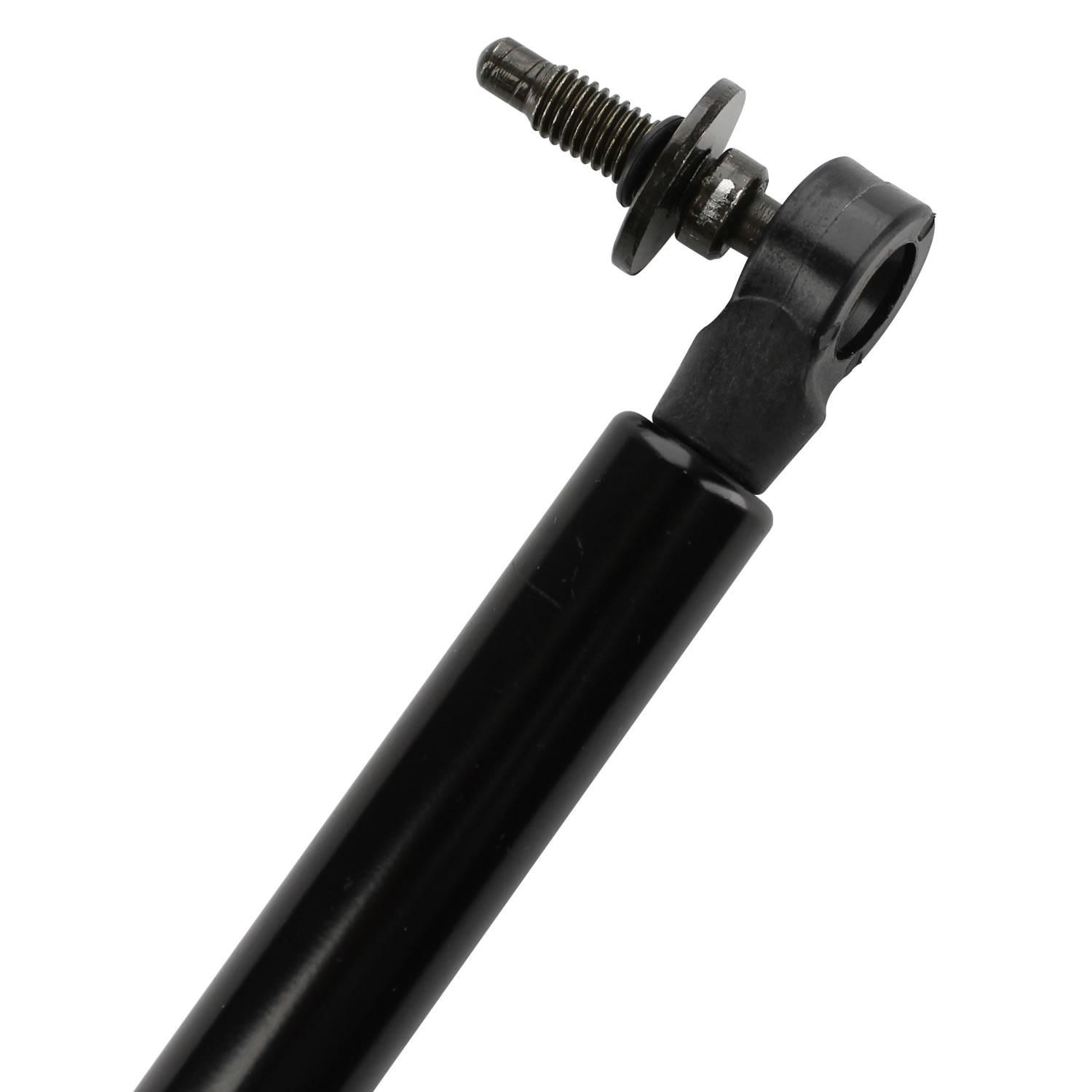 Duralast Liftgate Lift Support DL10337C
