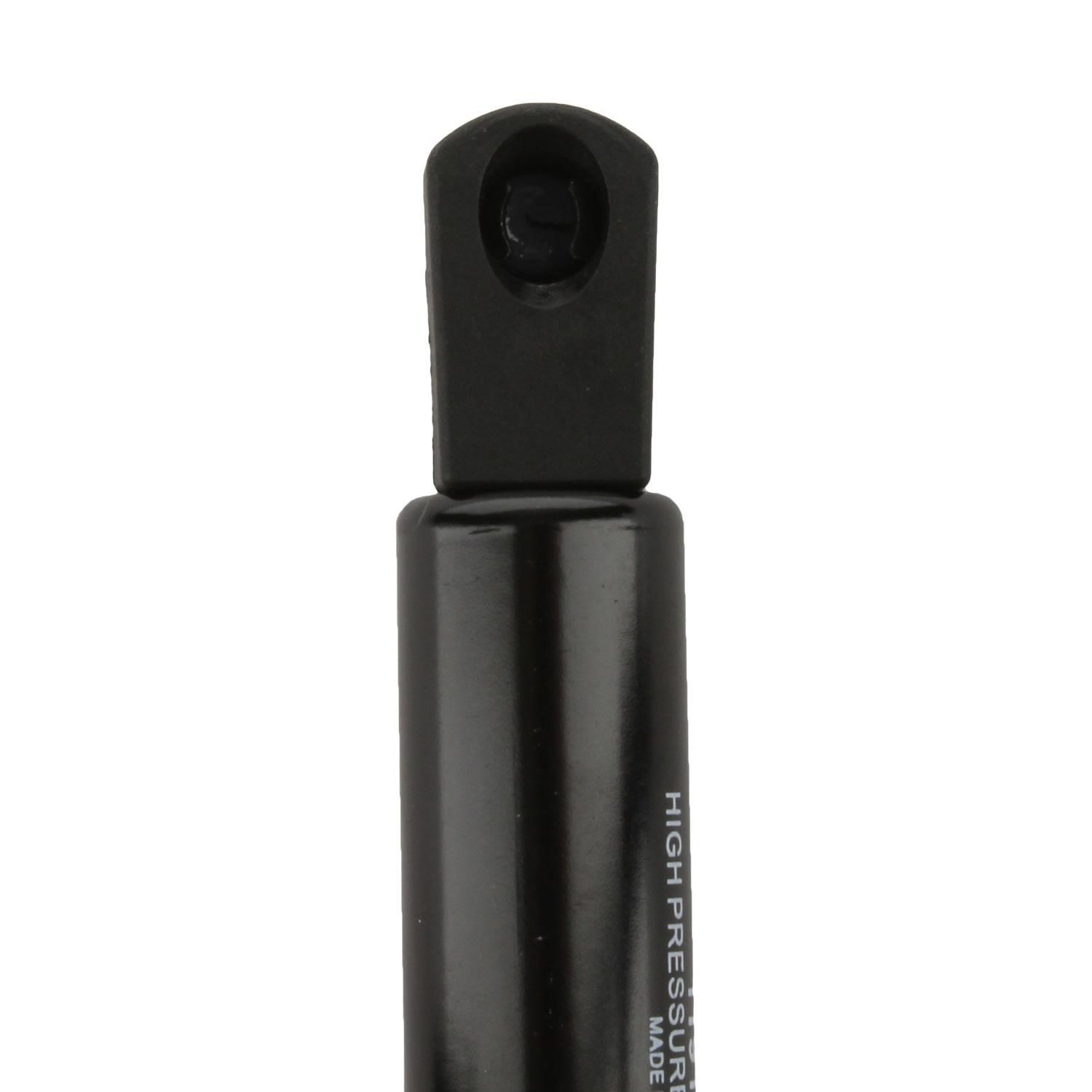 Duralast Trunk Lid Lift Support DL10371A