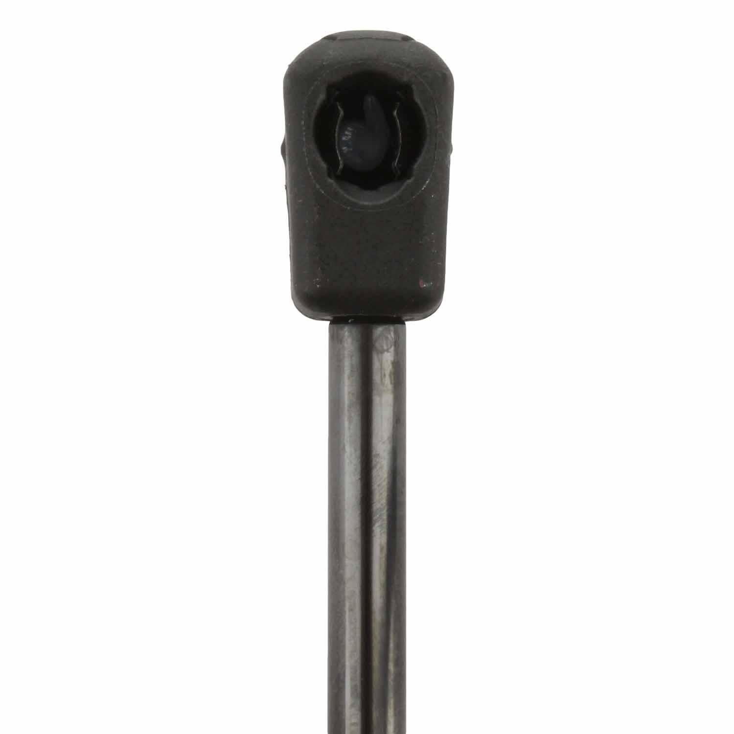 Duralast Trunk Lid Lift Support DL10371A