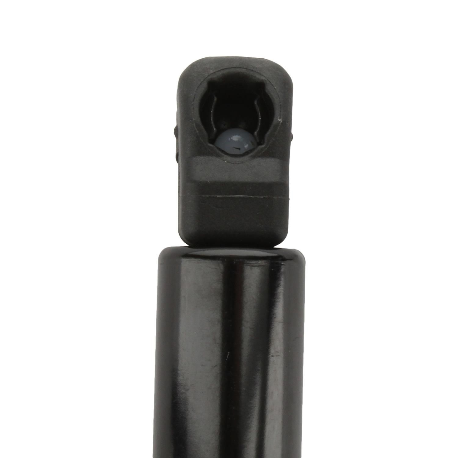 Duralast Liftgate Lift Support DL10403D