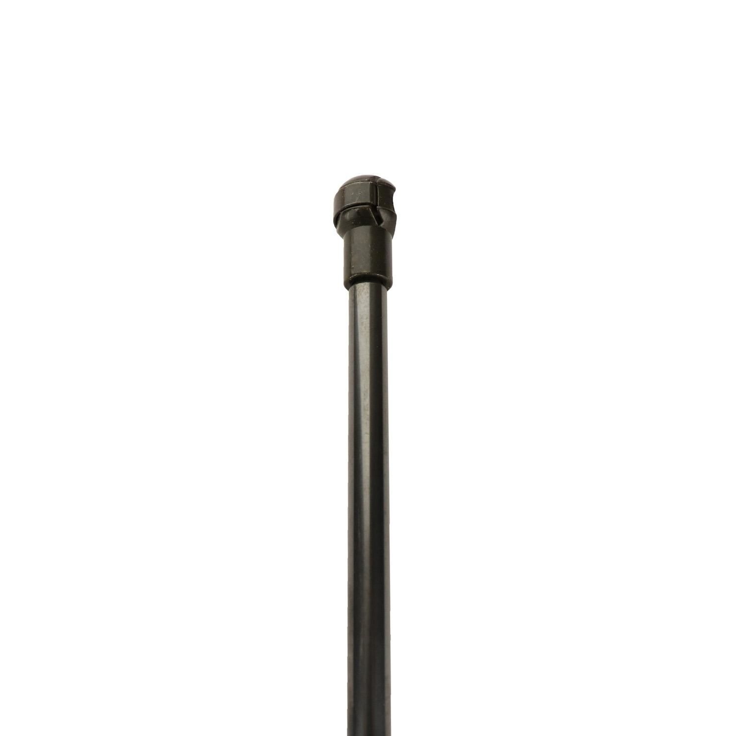 Duralast Trunk Lid Lift Support DL10583C