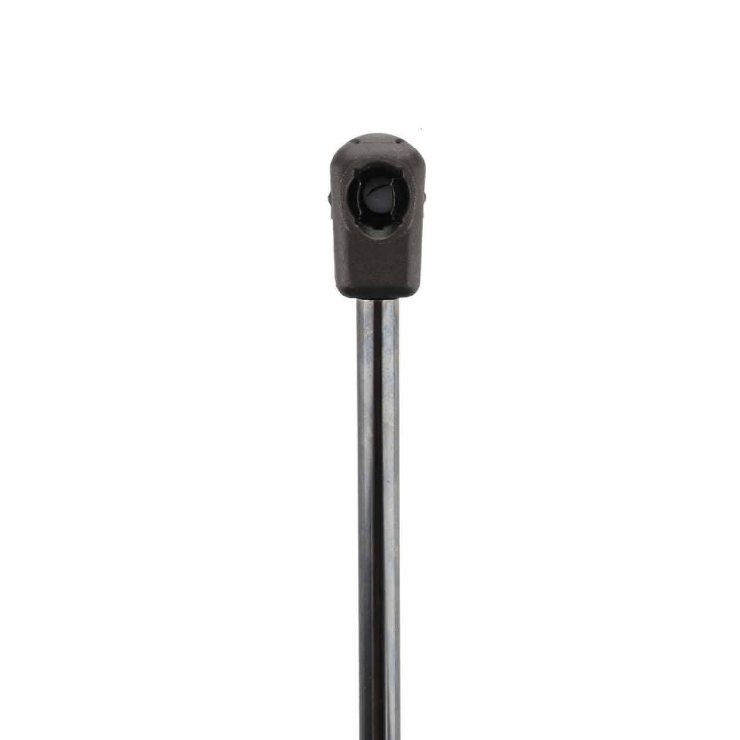 Duralast Trunk Lid Lift Support DL10638A