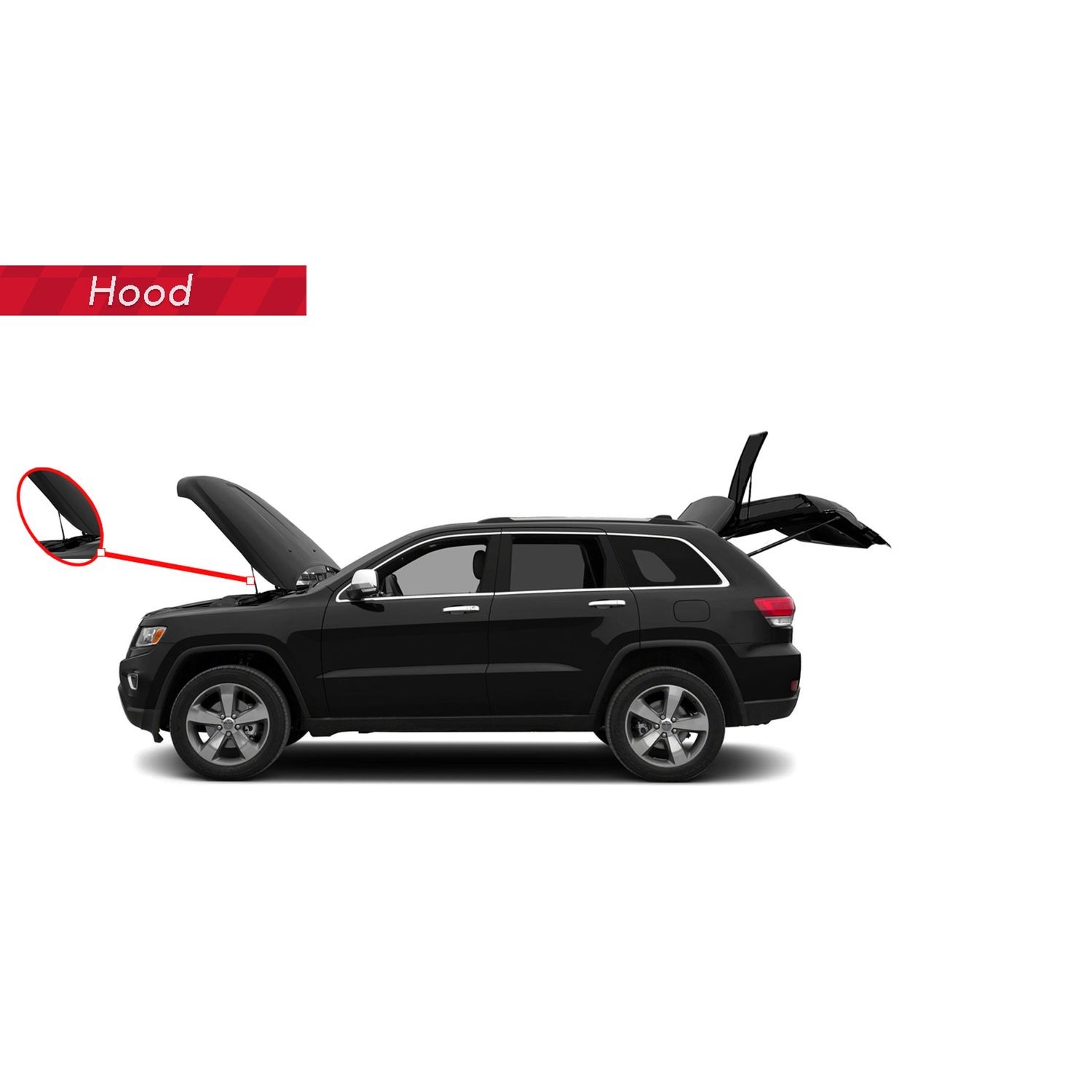 Duralast Hood Lift Support DL10681C