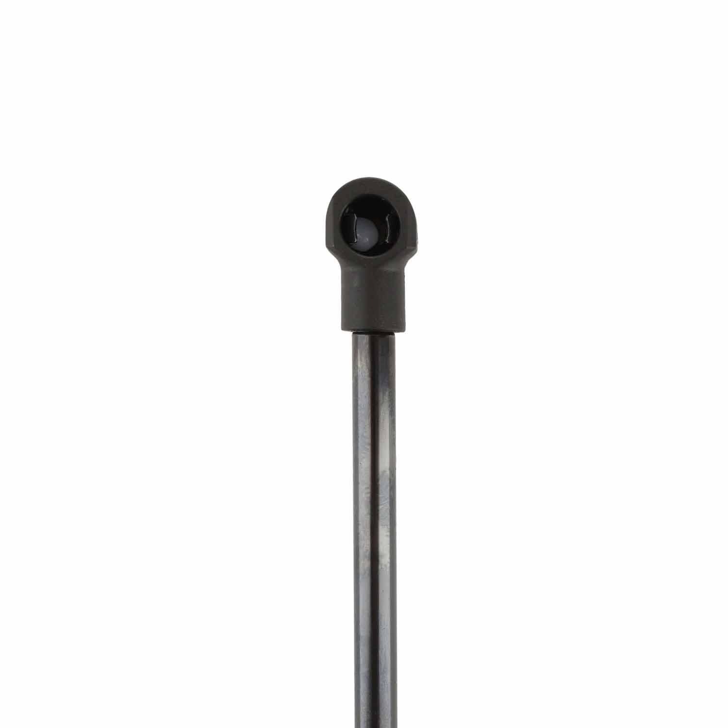 Duralast Trunk Lid Lift Support DL10701B