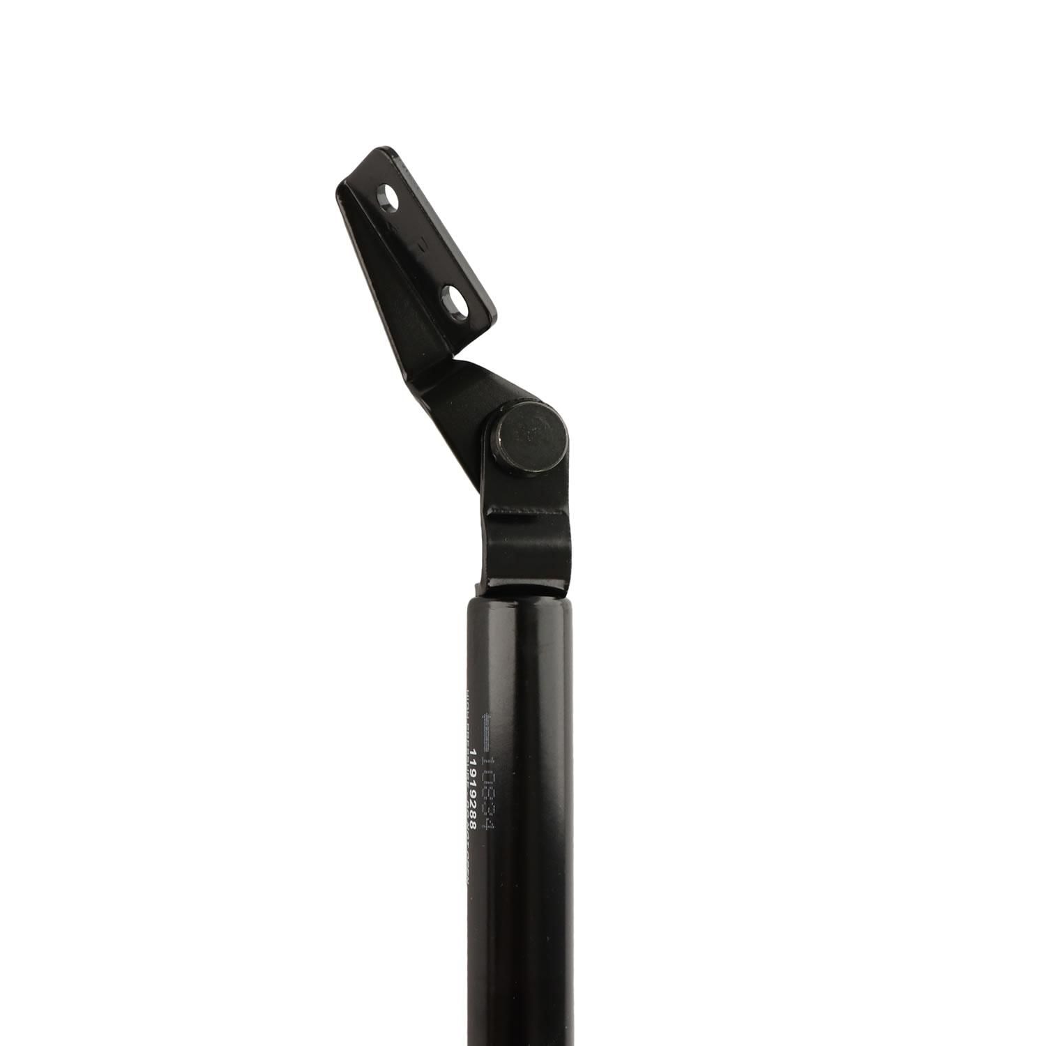 Duralast Tailgate Lift Support DL10834CW