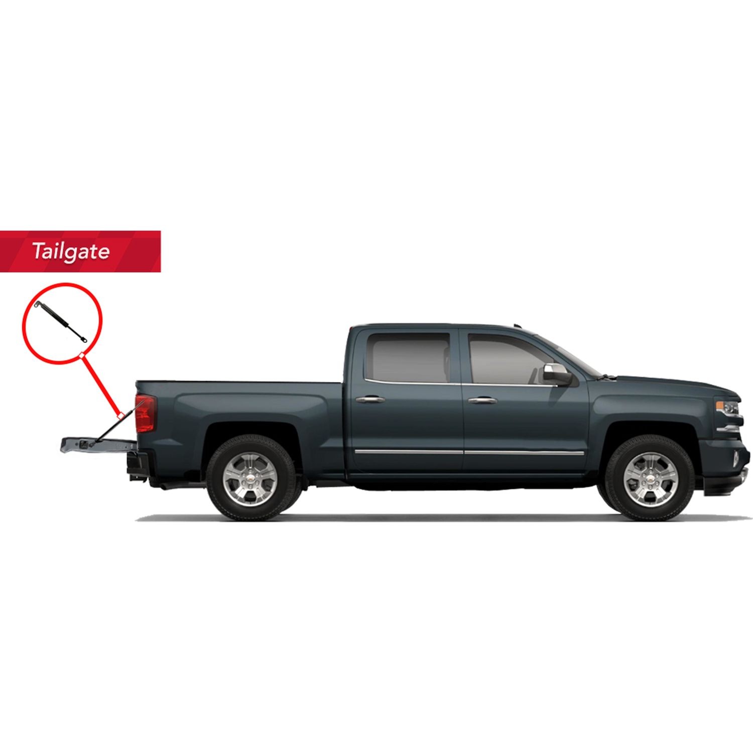 Duralast Tailgate Lift Support DL10846B