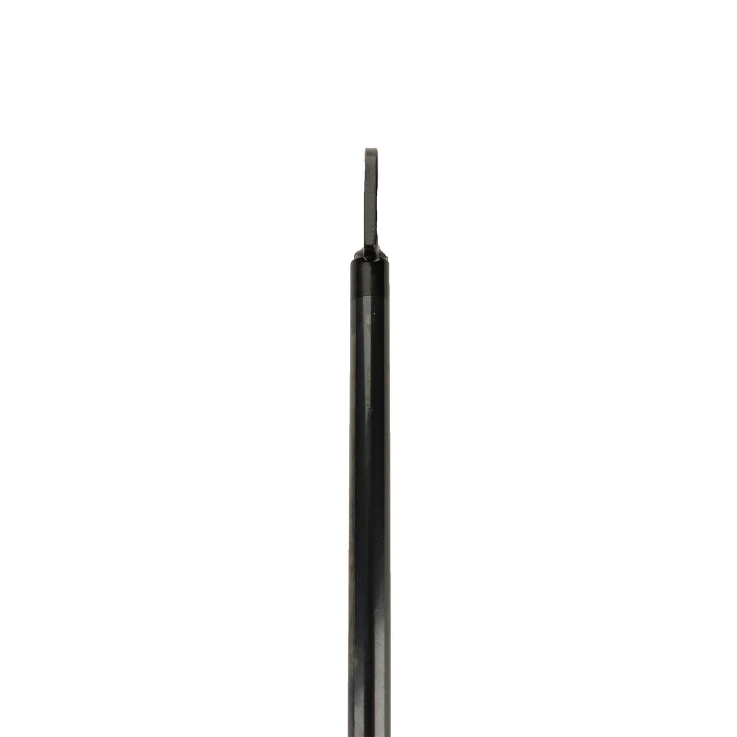 Duralast Trunk Lid Lift Support DL10989C