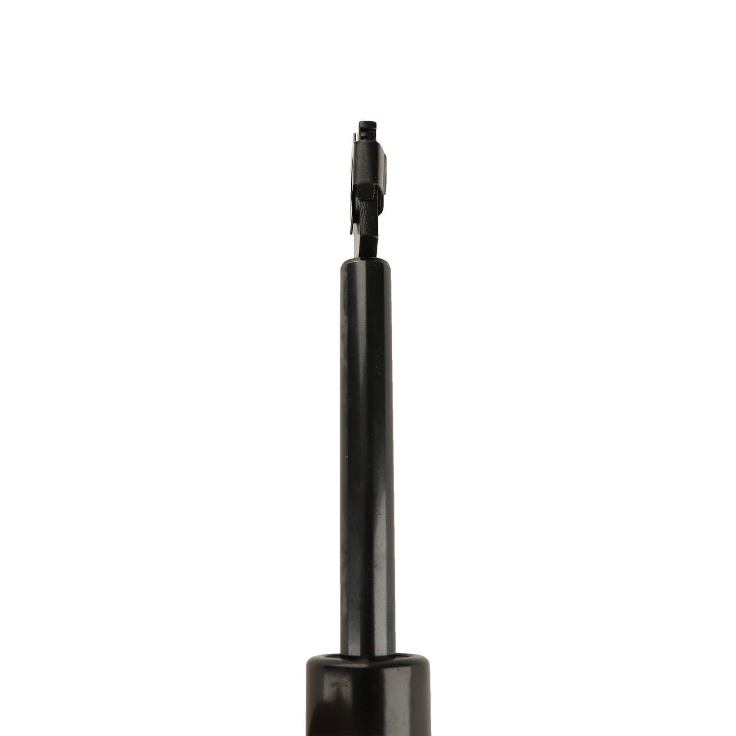 Duralast Trunk Lid Lift Support DL11038A