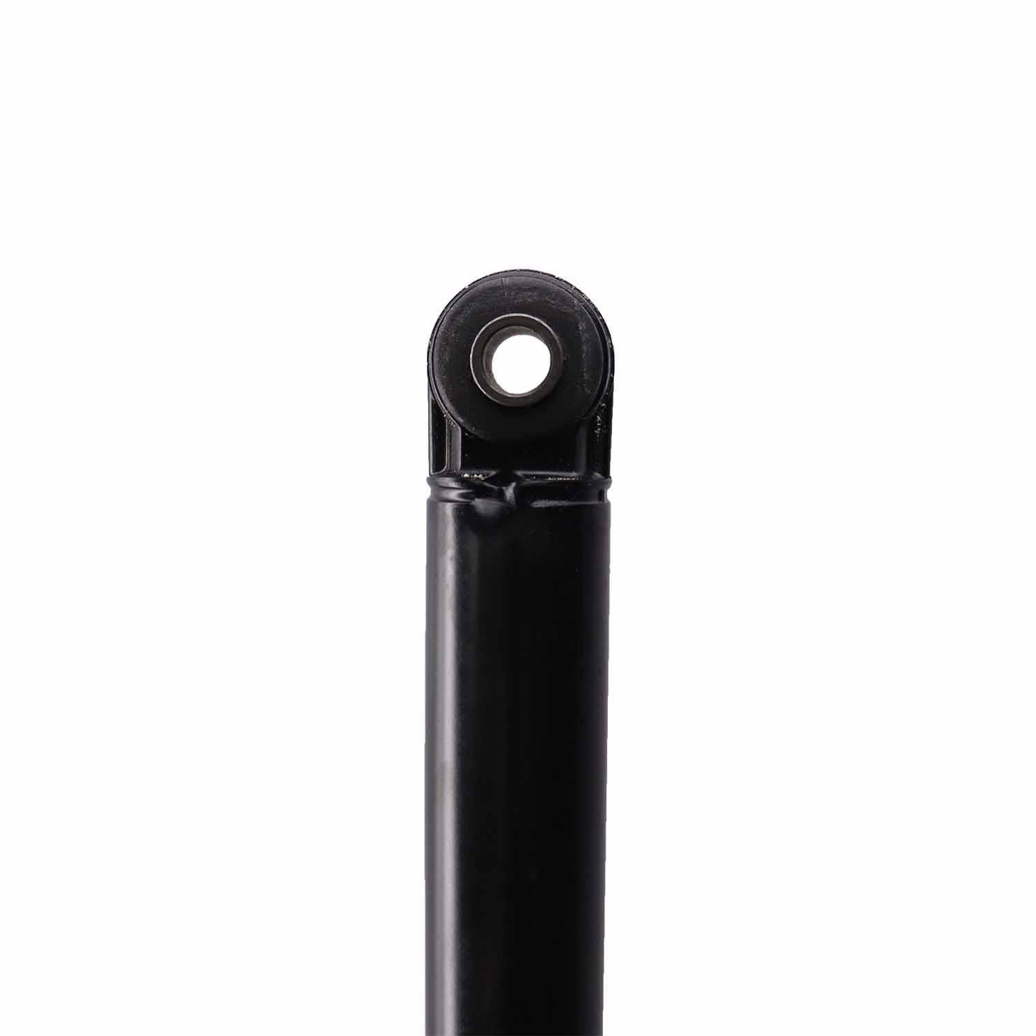 Duralast Trunk Lid Lift Support DL11397A