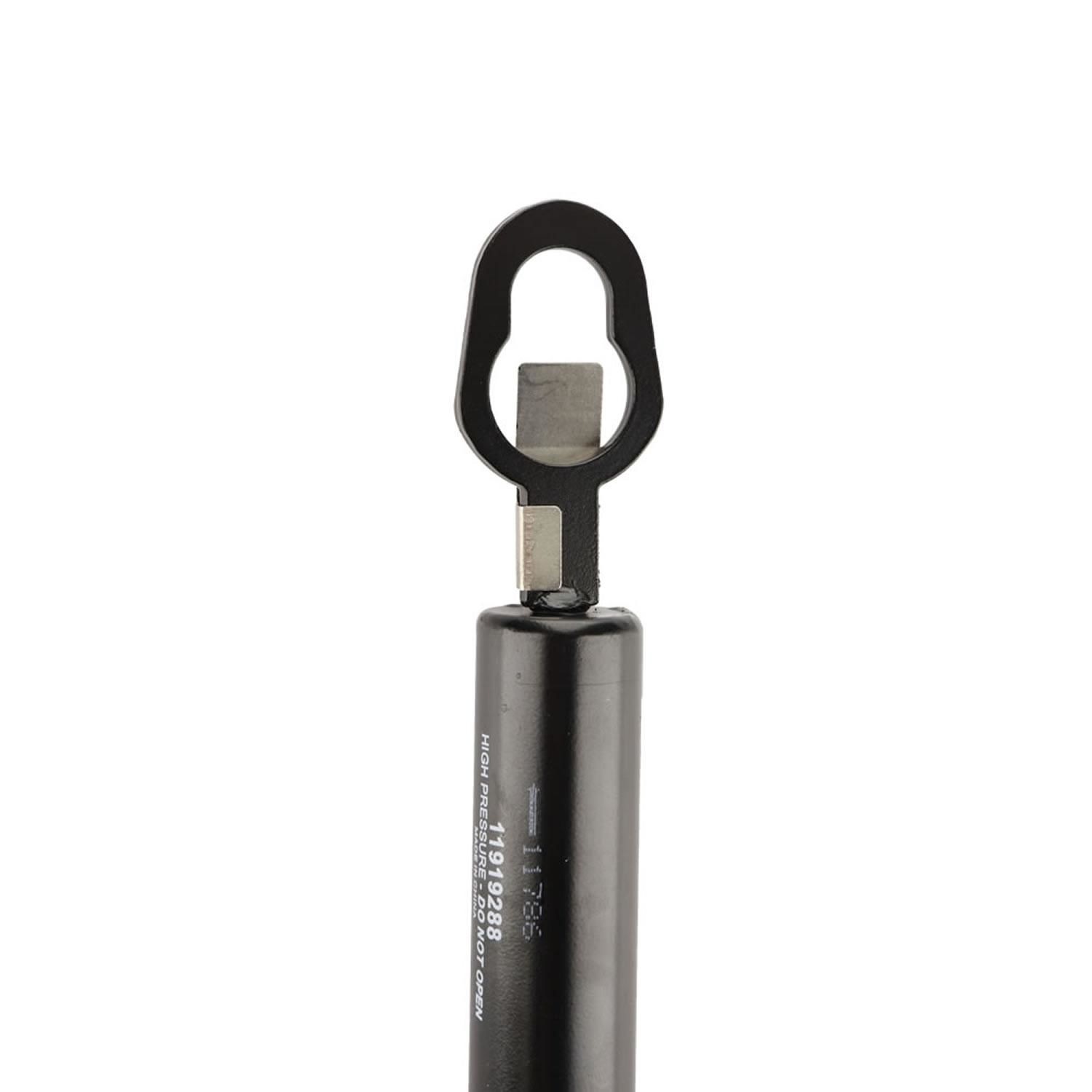 Duralast Tailgate Lift Support DL11786B