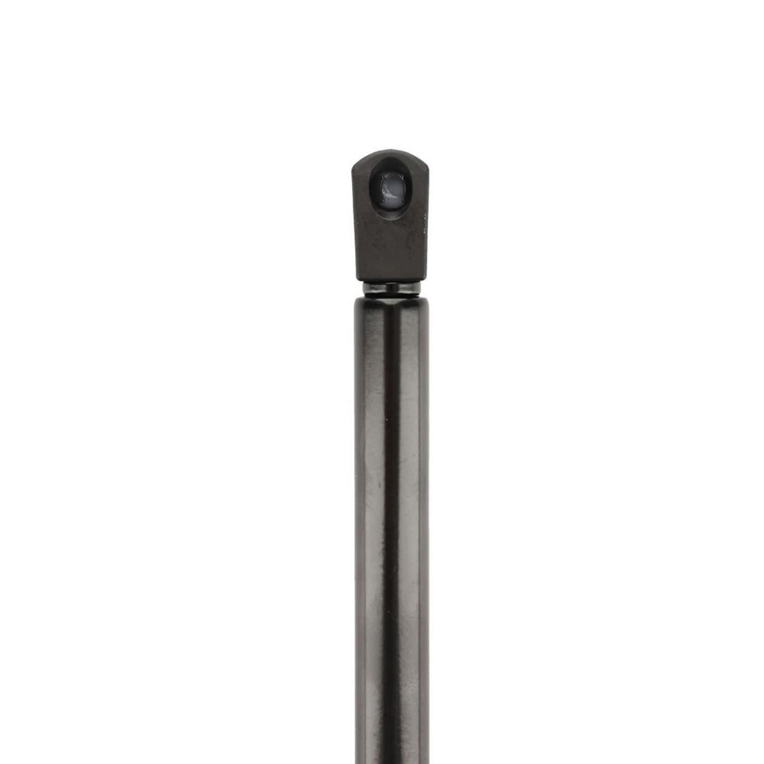 Duralast Trunk Lid Lift Support DL11873B