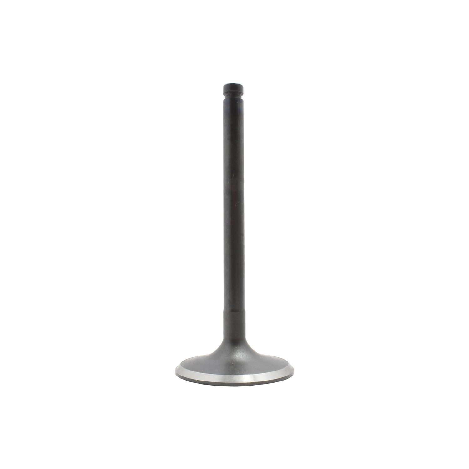DNJ Engine Intake Valve IV305
