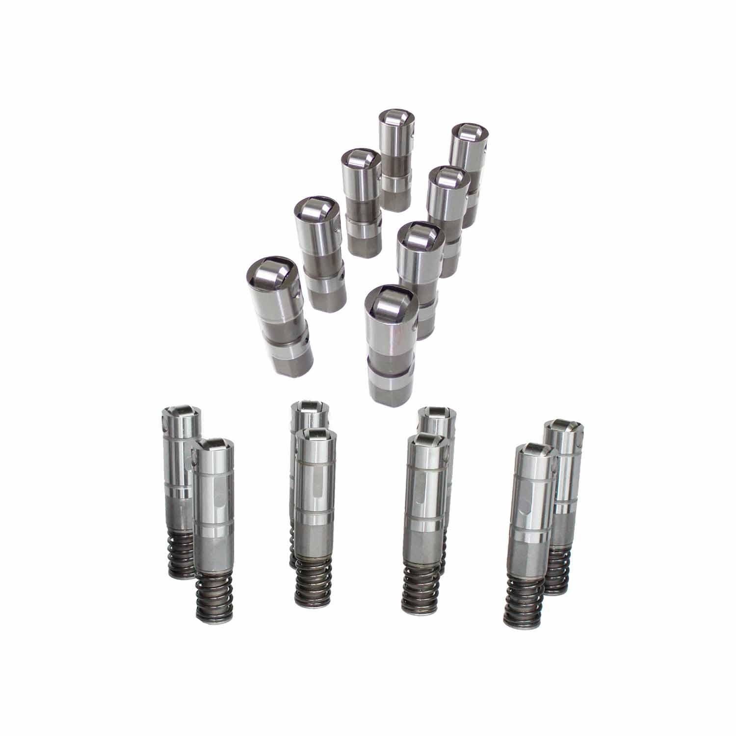 DNJ Engine Valve Lifter Kit LFK163172