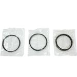 DNJ Engine Re-Ring Kit RRK221