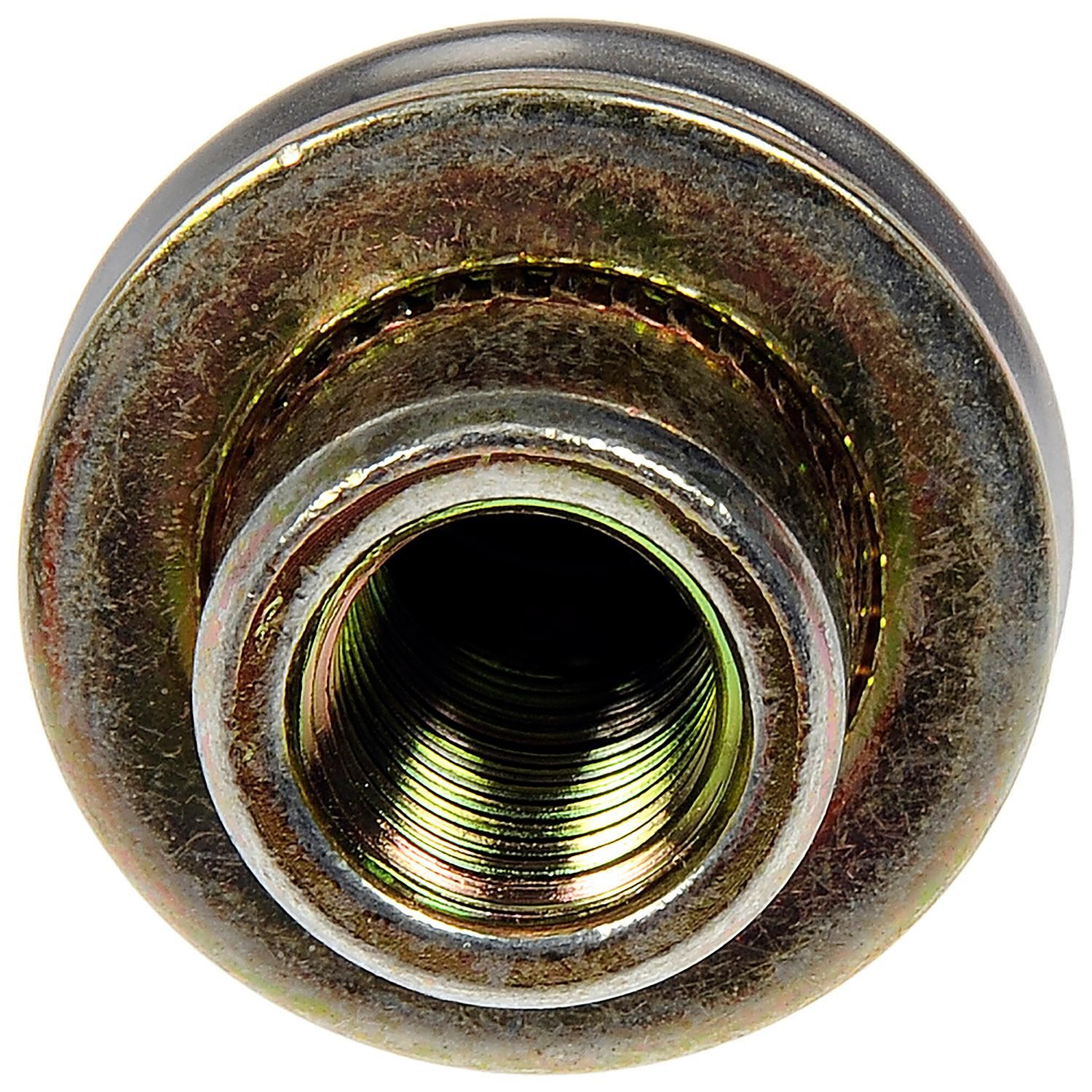 Dorman Wheel Nut 10 Piece 611-211BX