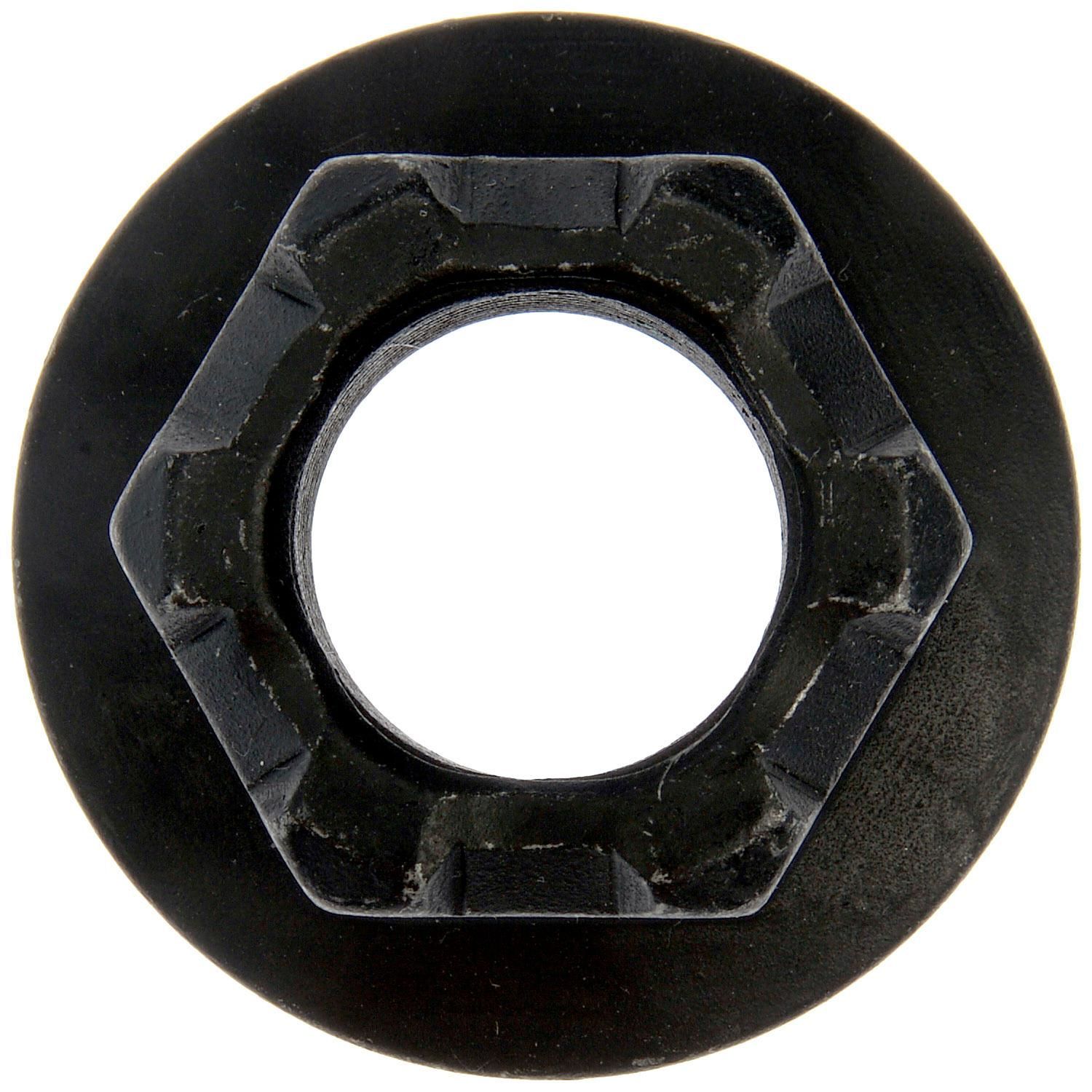 Dorman - Autograde Spindle Nut 615-982