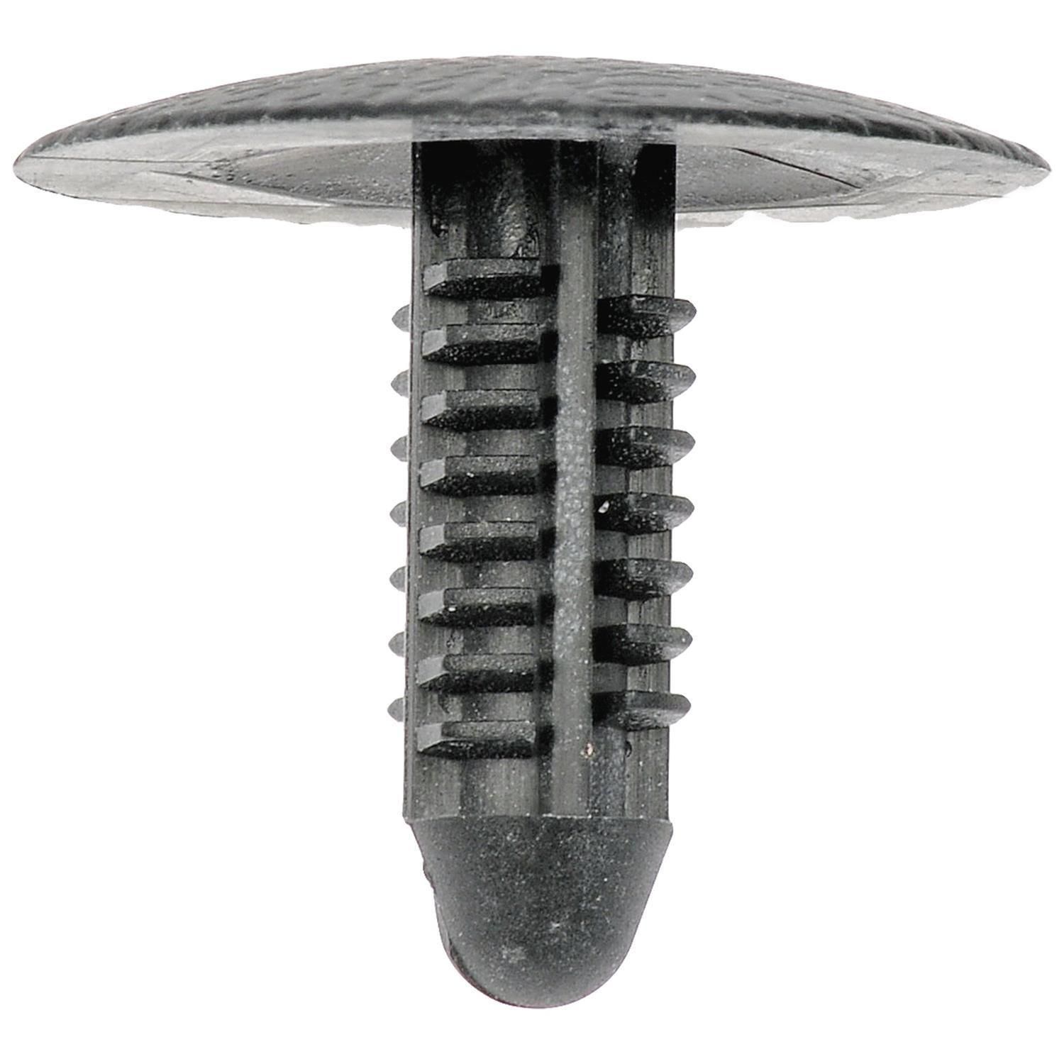 Dorman - Autograde Retainer