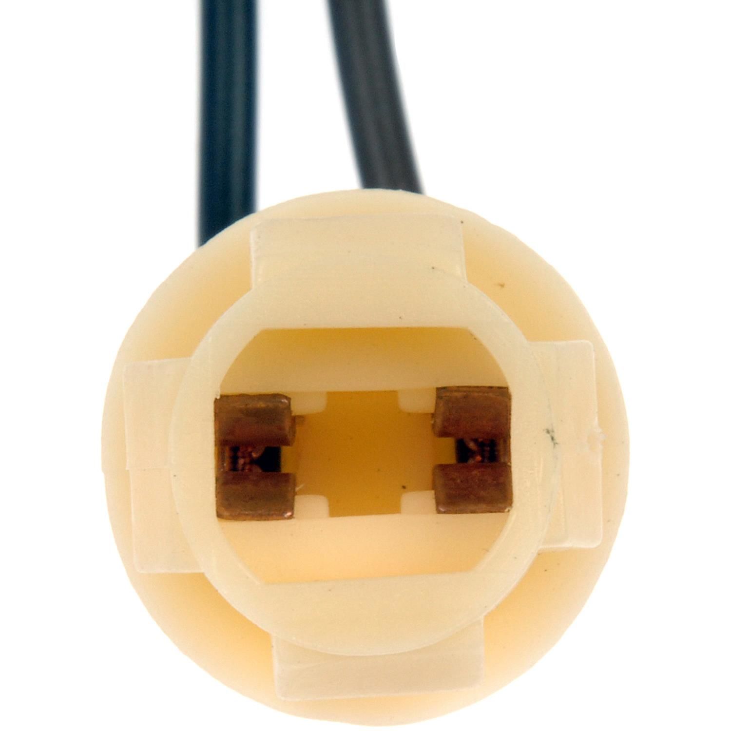 Dorman Light Socket 85816