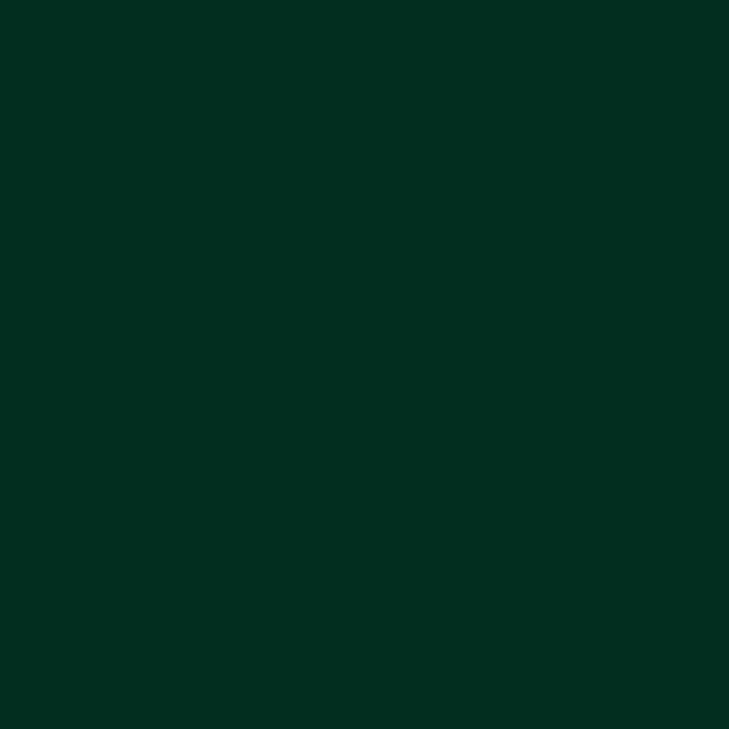 Dupli-Color Perfect Match Touch Up Paint Forest Green Pearl Paint Code PG8