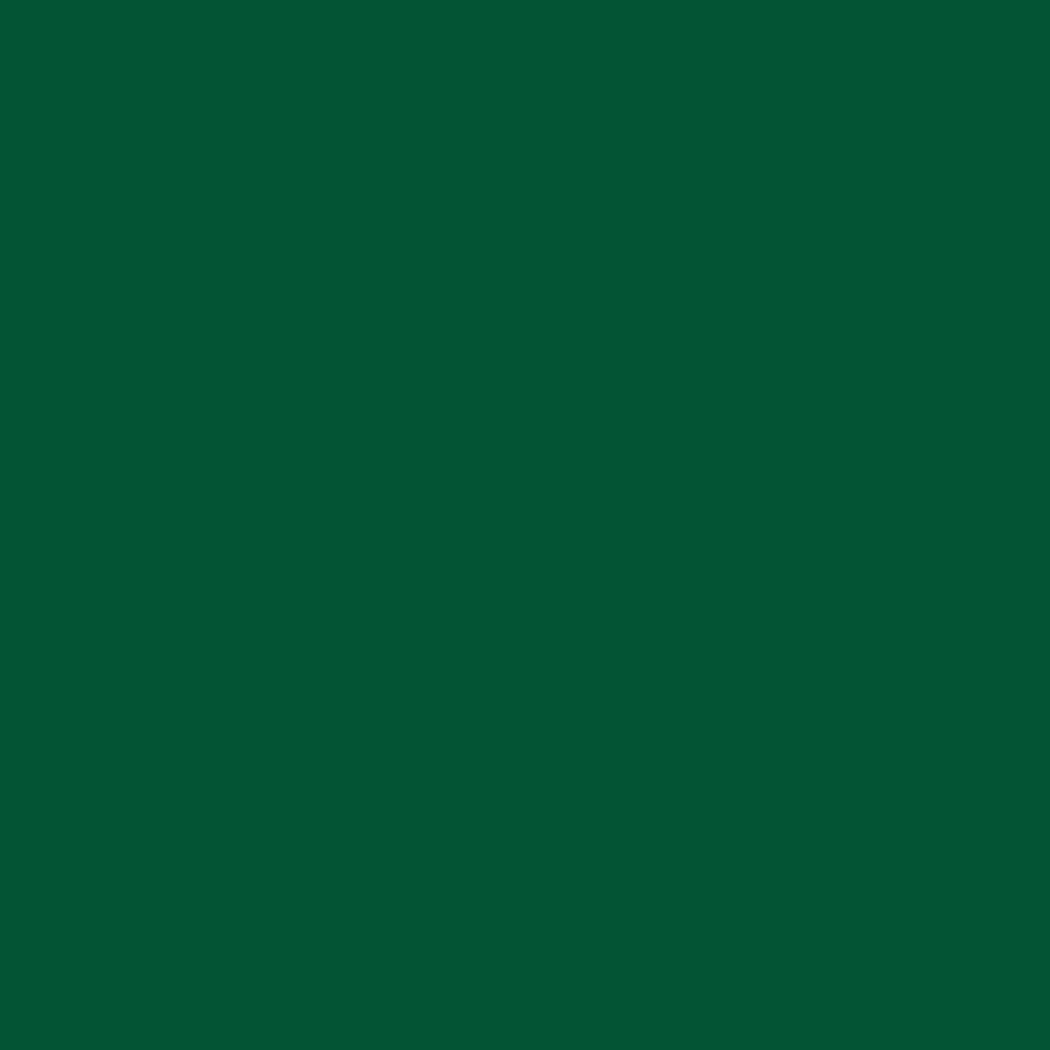 Dupli-Color Perfect Match Touch Up Paint Emerald Green Metallic Paint ...