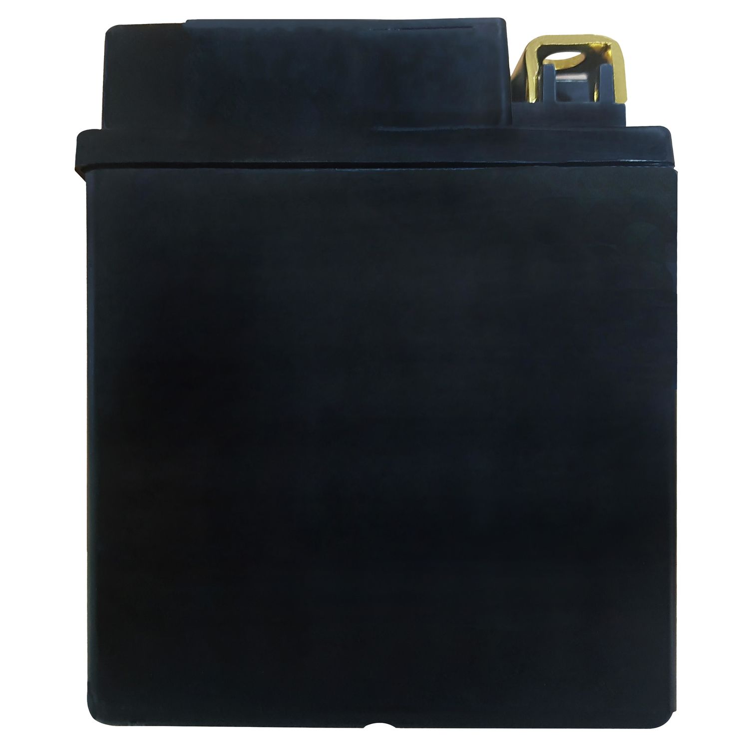 Duralast Gold Powersport Absorbed Glass Mat (AGM) Battery AZX12S