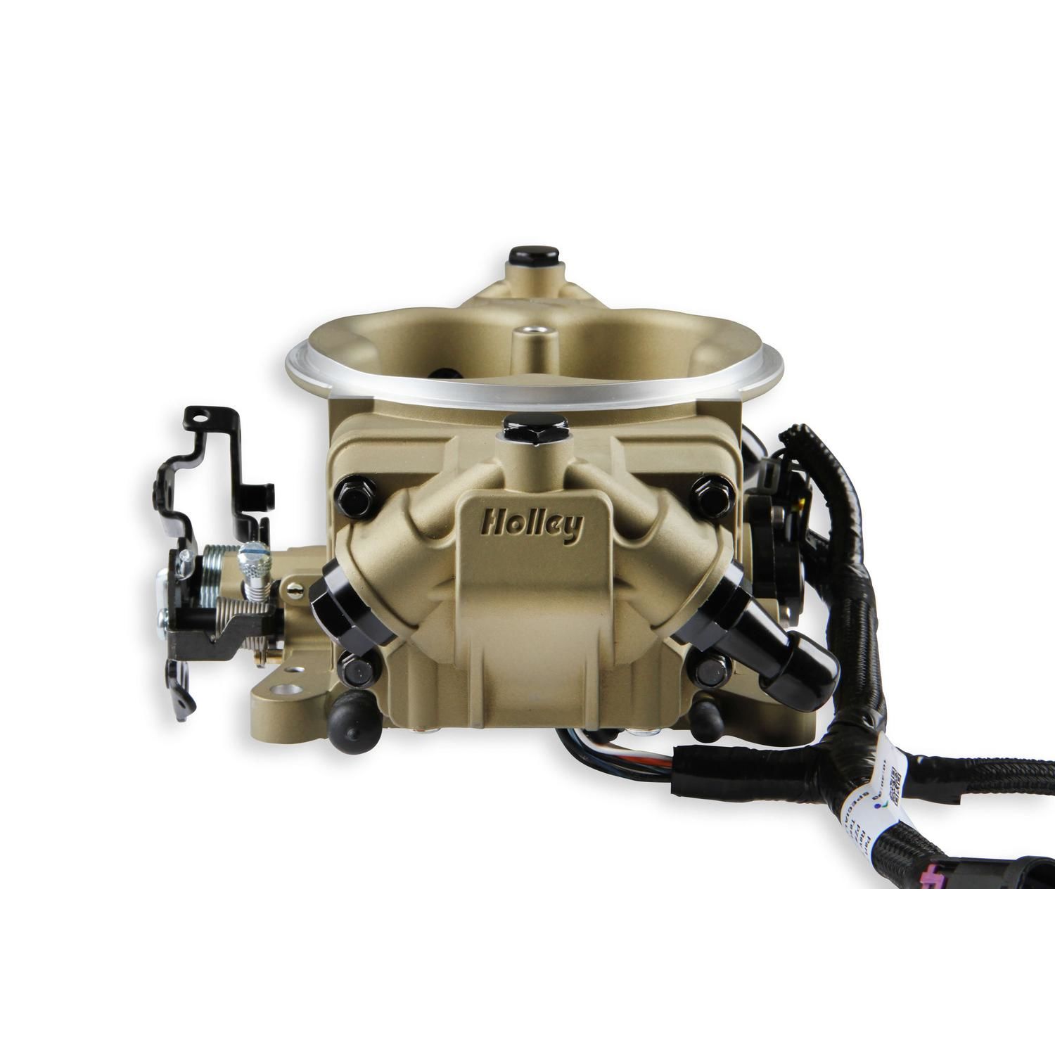 Holley EFI Terminator X Stealth Gold 4150 Fuel Injection System for LS ...