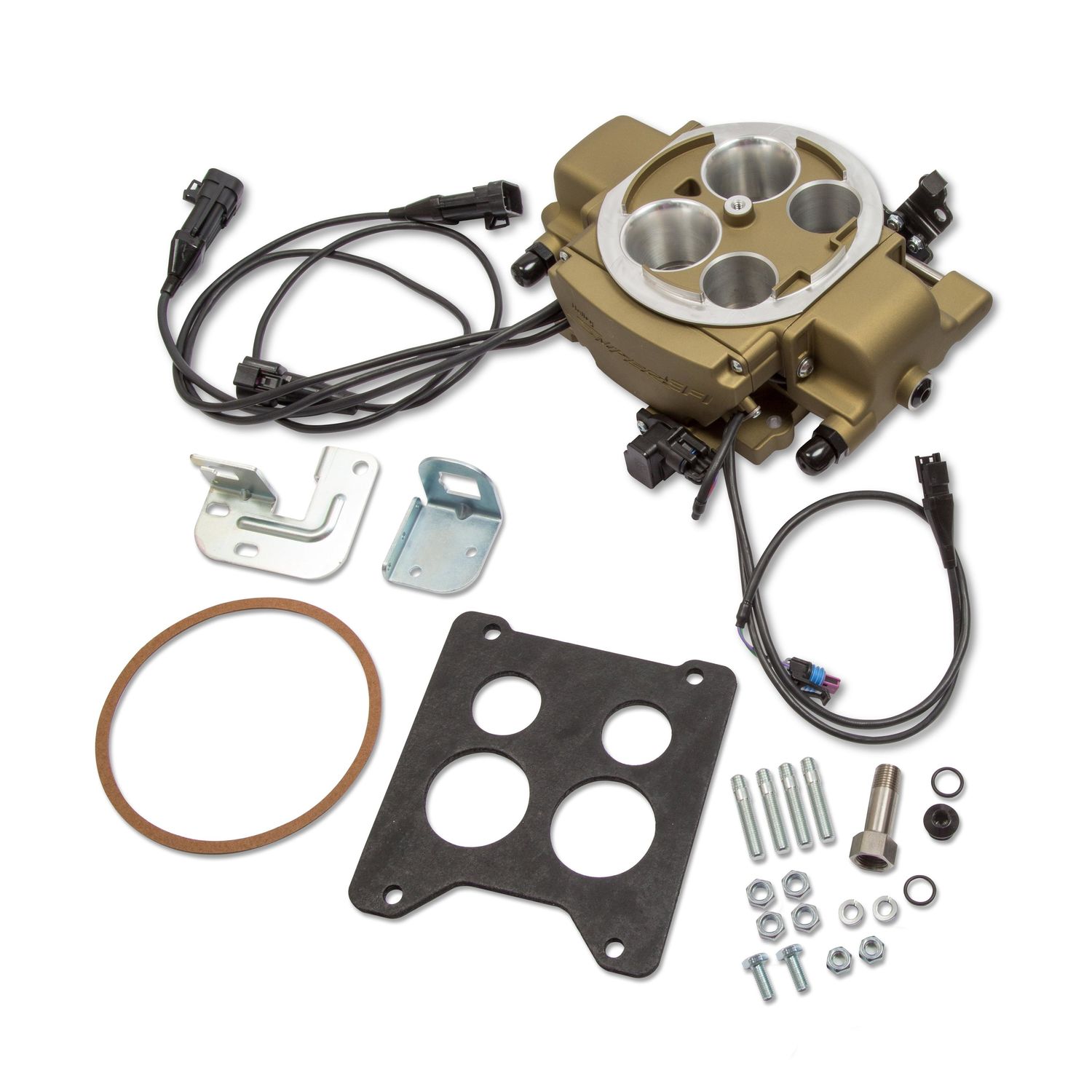 Holley Sniper EFI Fuel Injection Conversion Kit 550-869K