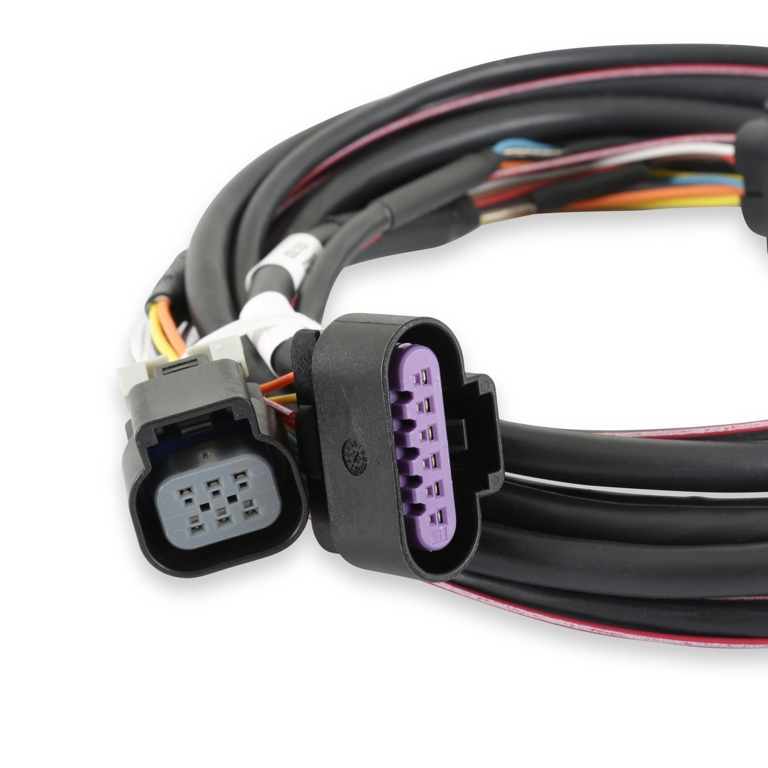 Holley EFI Systems Wiring Harness