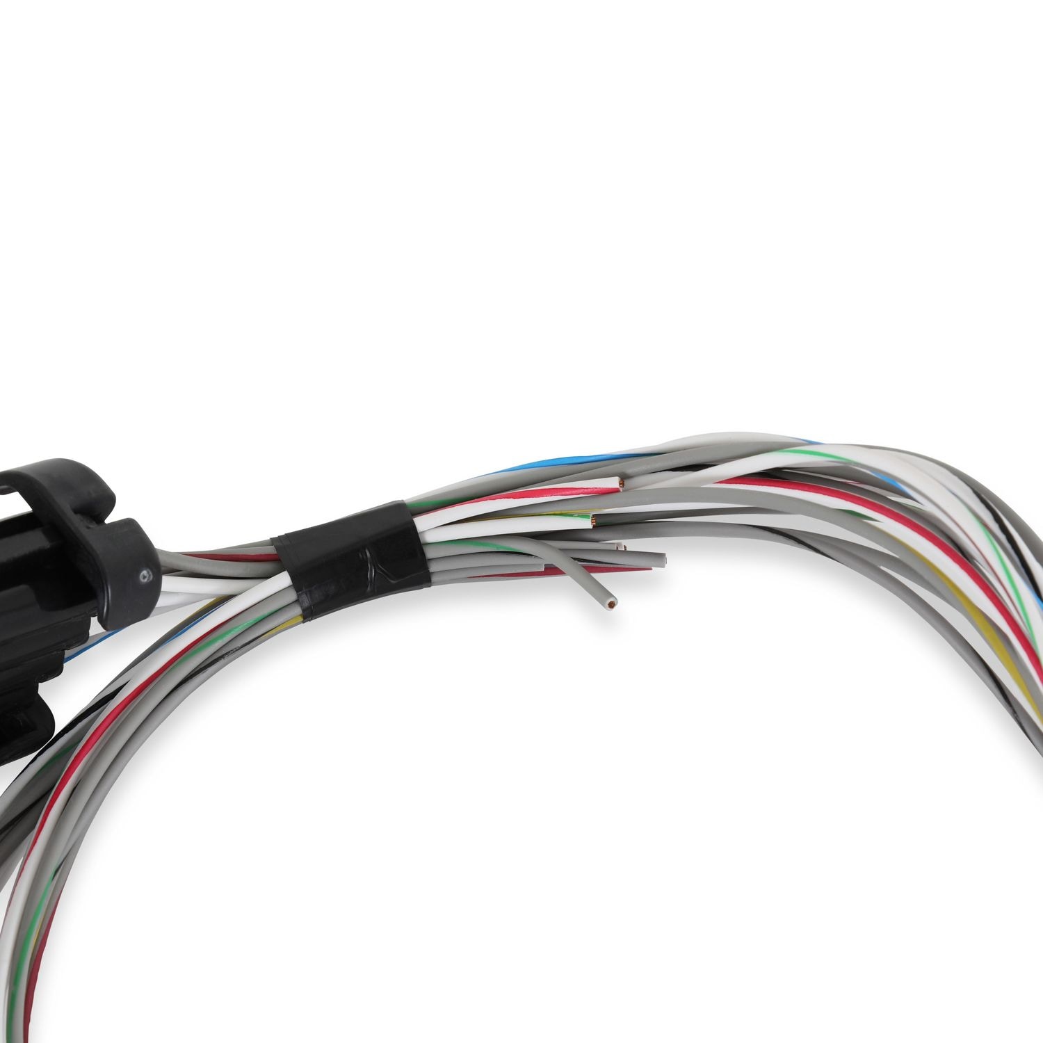 Holley EFI Engine Control Module (ECM) Wiring Harness 558-462