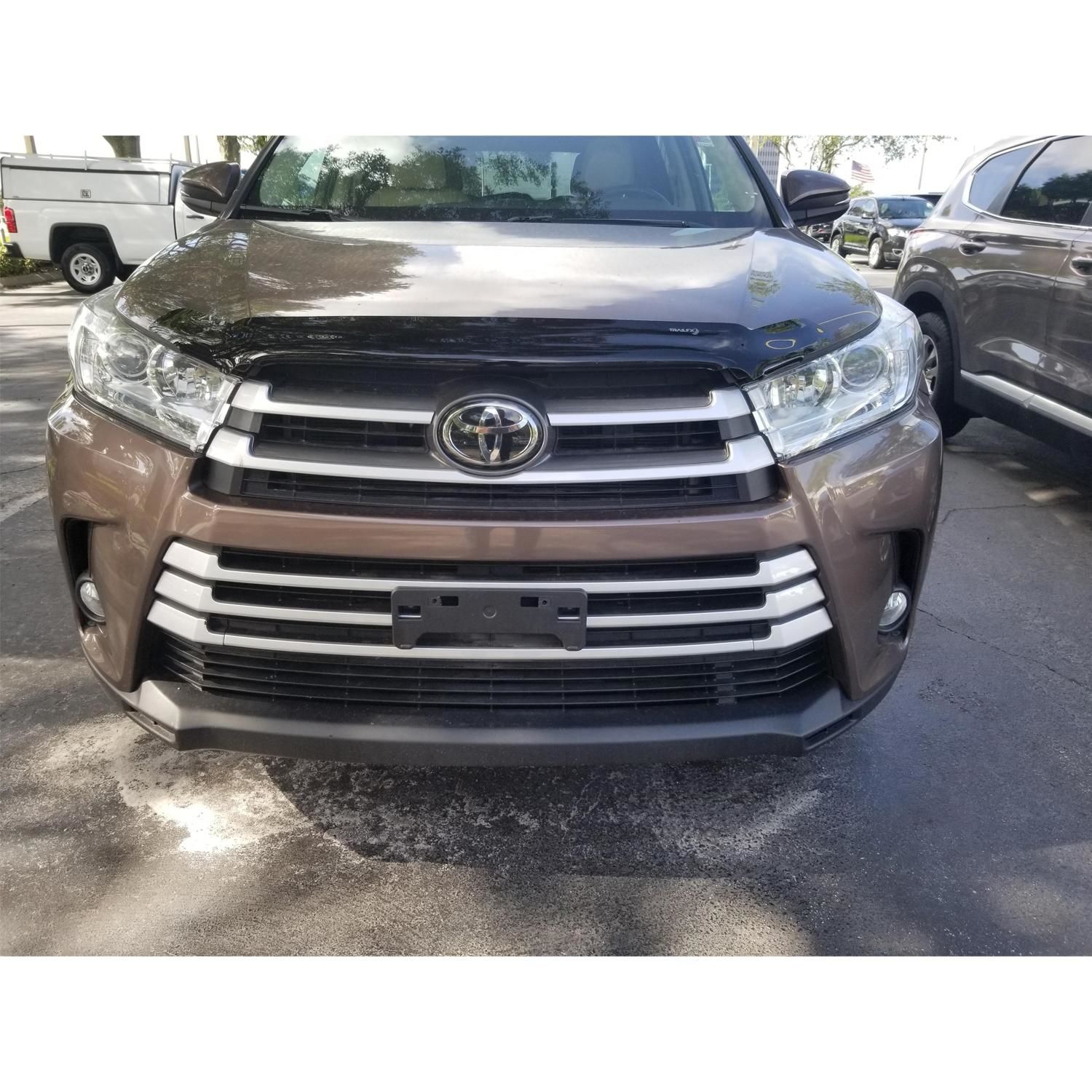 Trail FX Smoke Bug Deflector 8739H