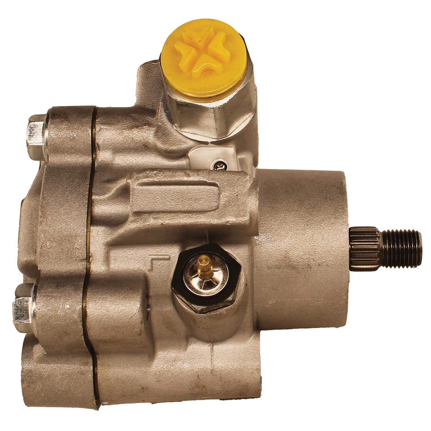 Lares Power Steering Pump 13123