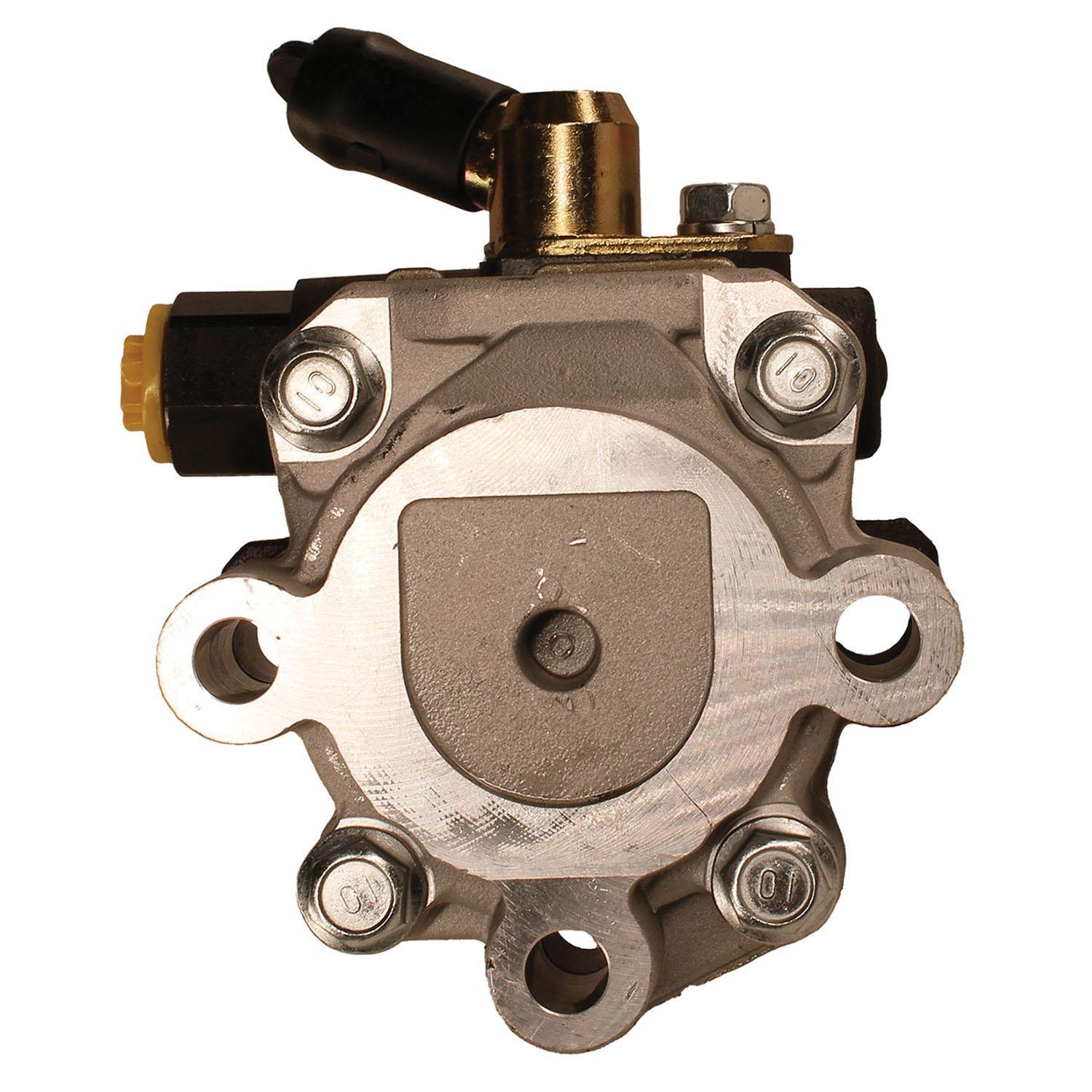 Lares Power Steering Pump 13883