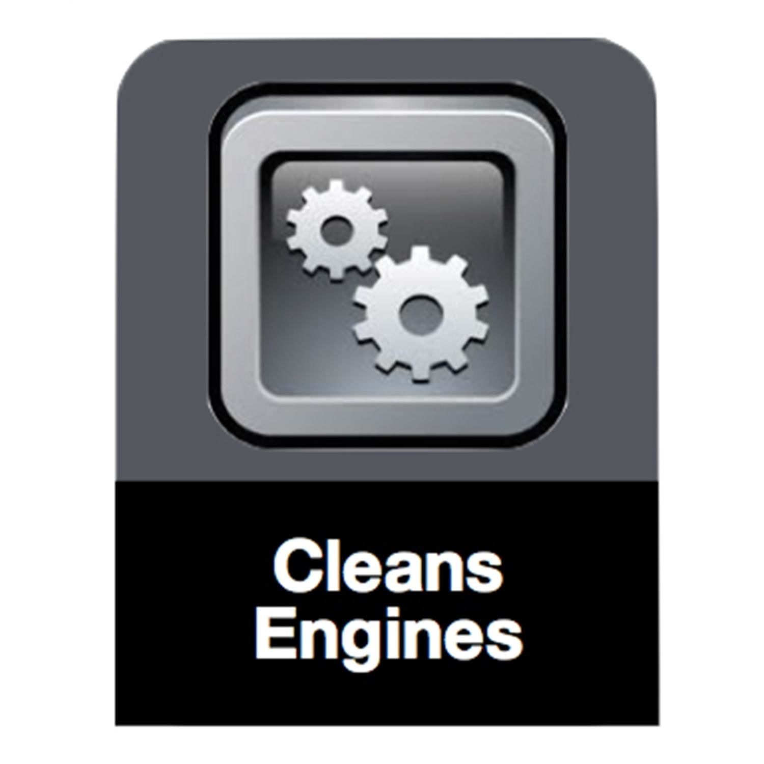 CataClean Fuel Cleaner 16.7oz